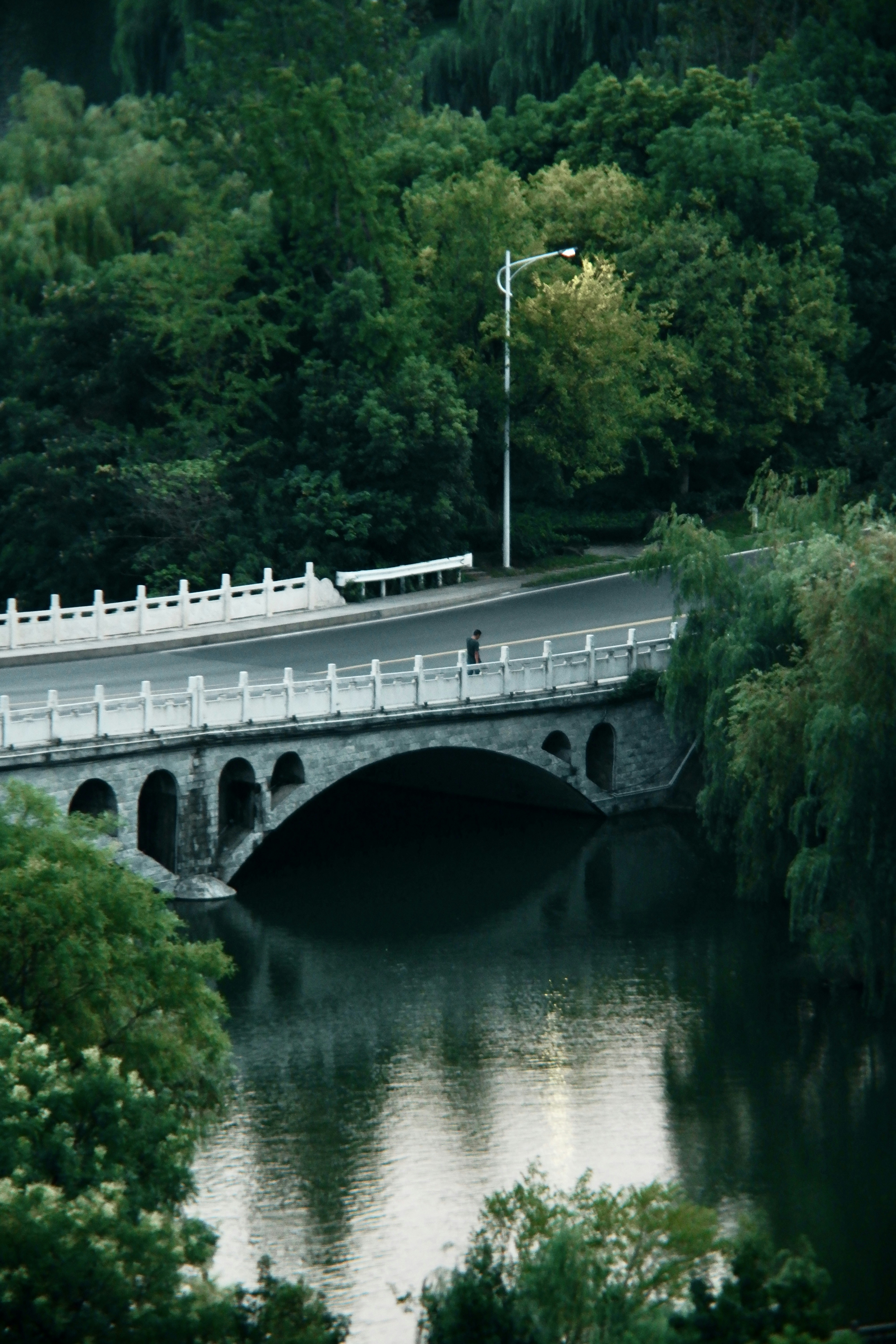 Quiet Stone Bridge Over a Reflective River Surrounded by Lush Greenery