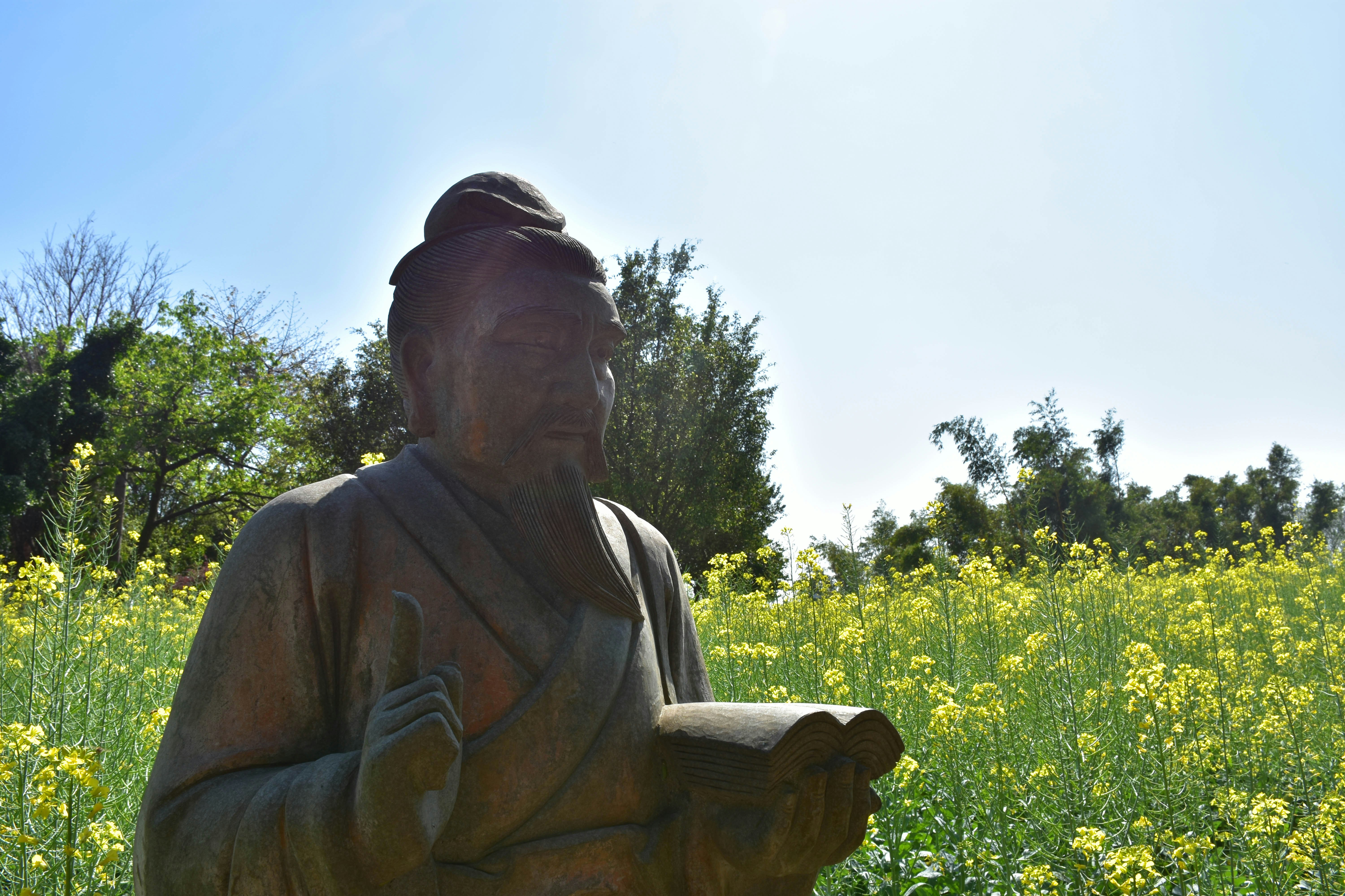 Ancient statue of a wise figure holding a book, surrounded by vibrant yellow flowers under a clear blue sky.