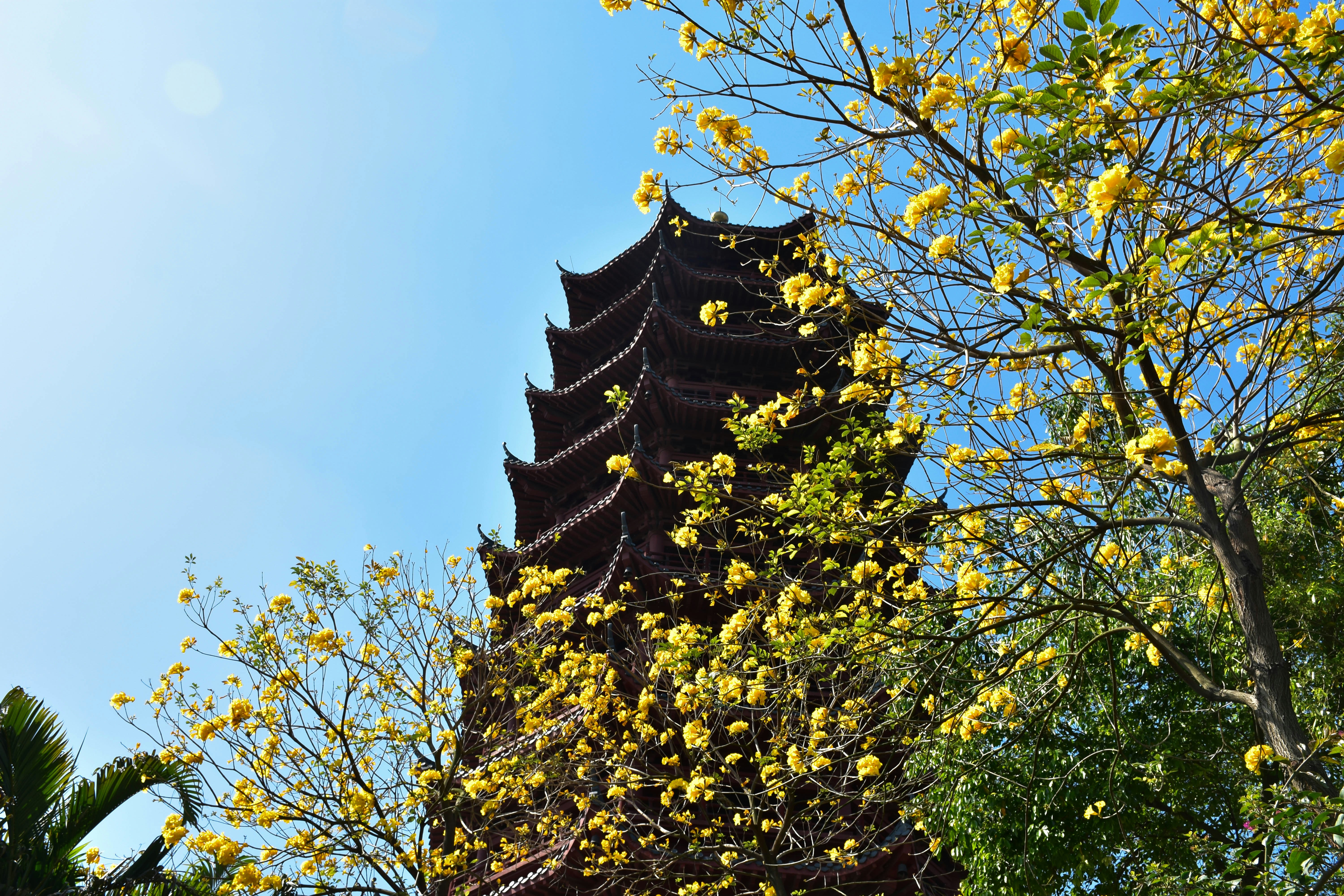 Spring tower