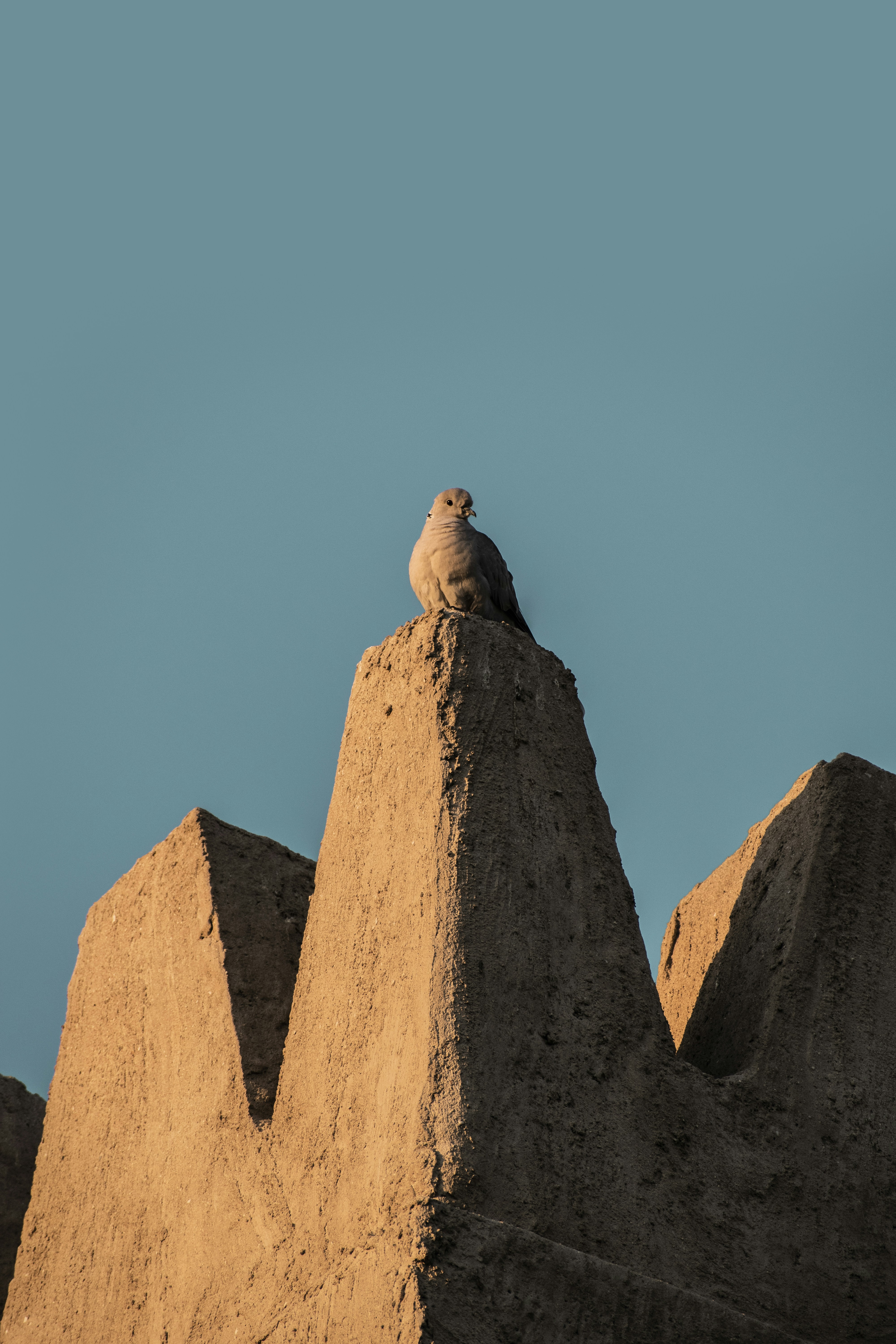 Perched over Sunlit Spires