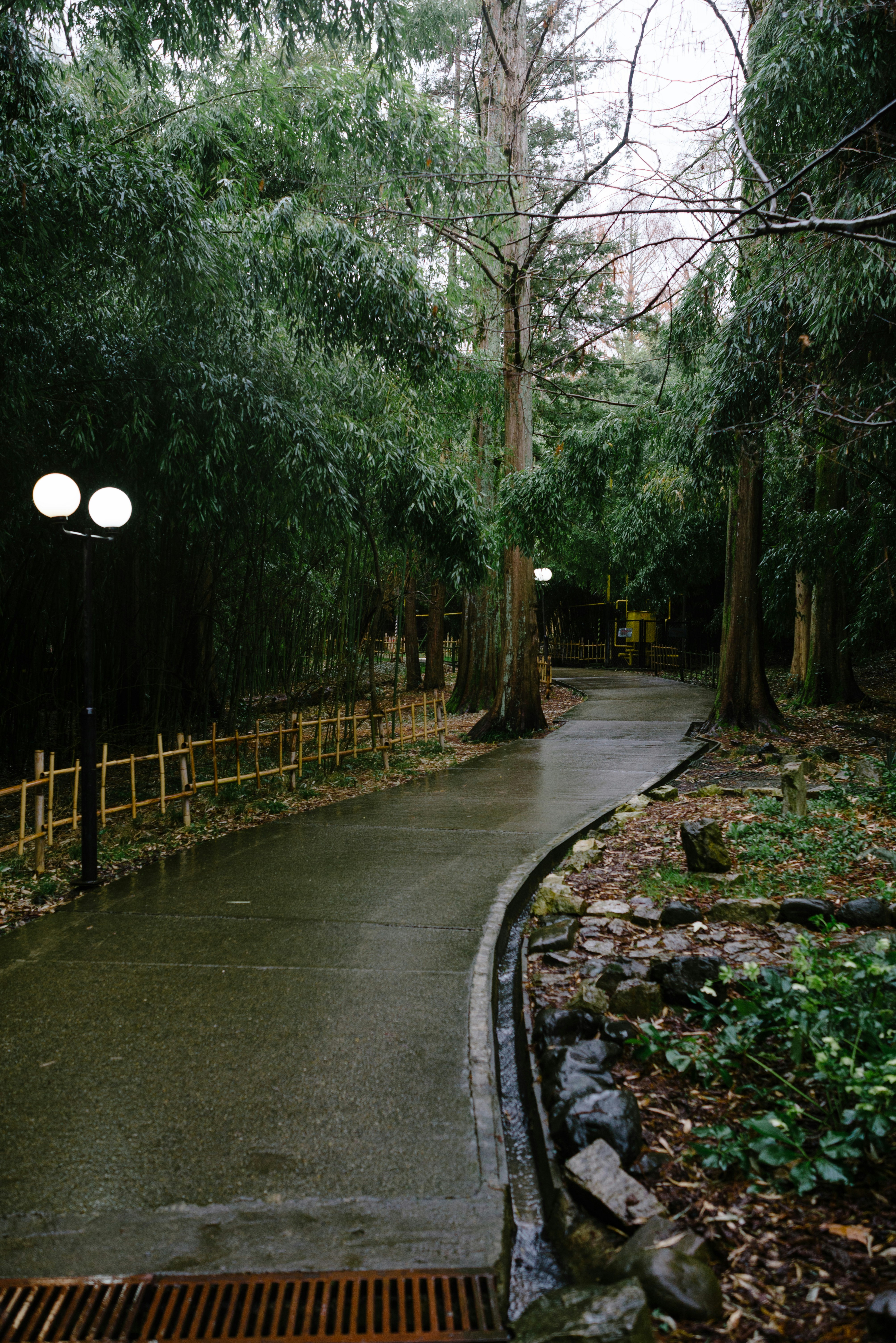 a path in a park with trees and a bench