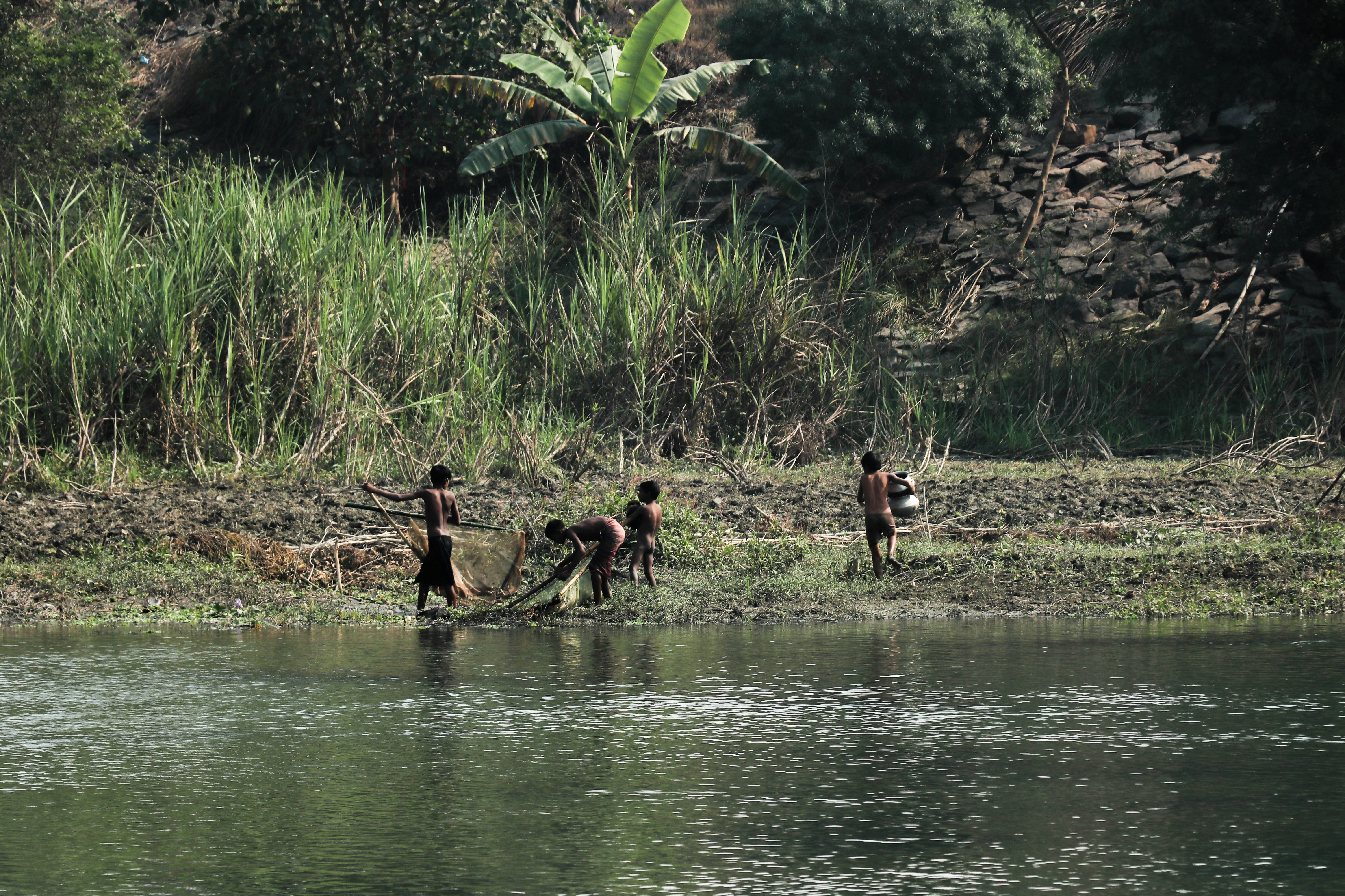 Group of individuals engaged in traditional fishing along a riverbank surrounded by lush greenery. Their connection to the environment is evident in their practices.