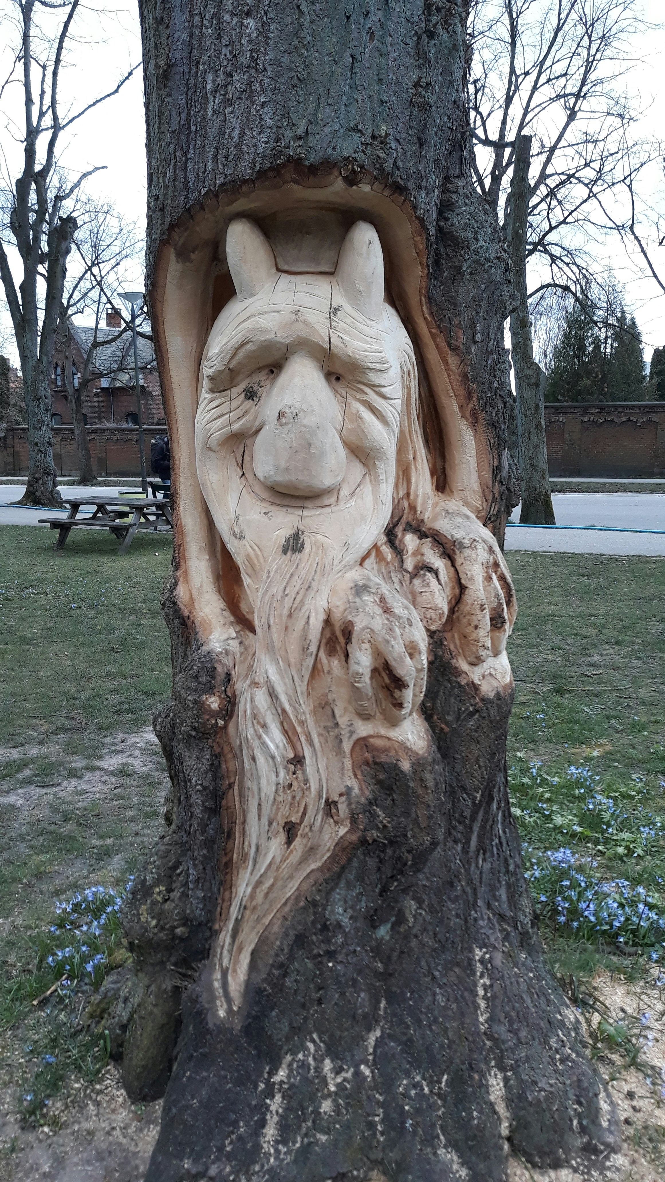 Tree-Root Portrait: Carved Wizard Emerges from a Trunk