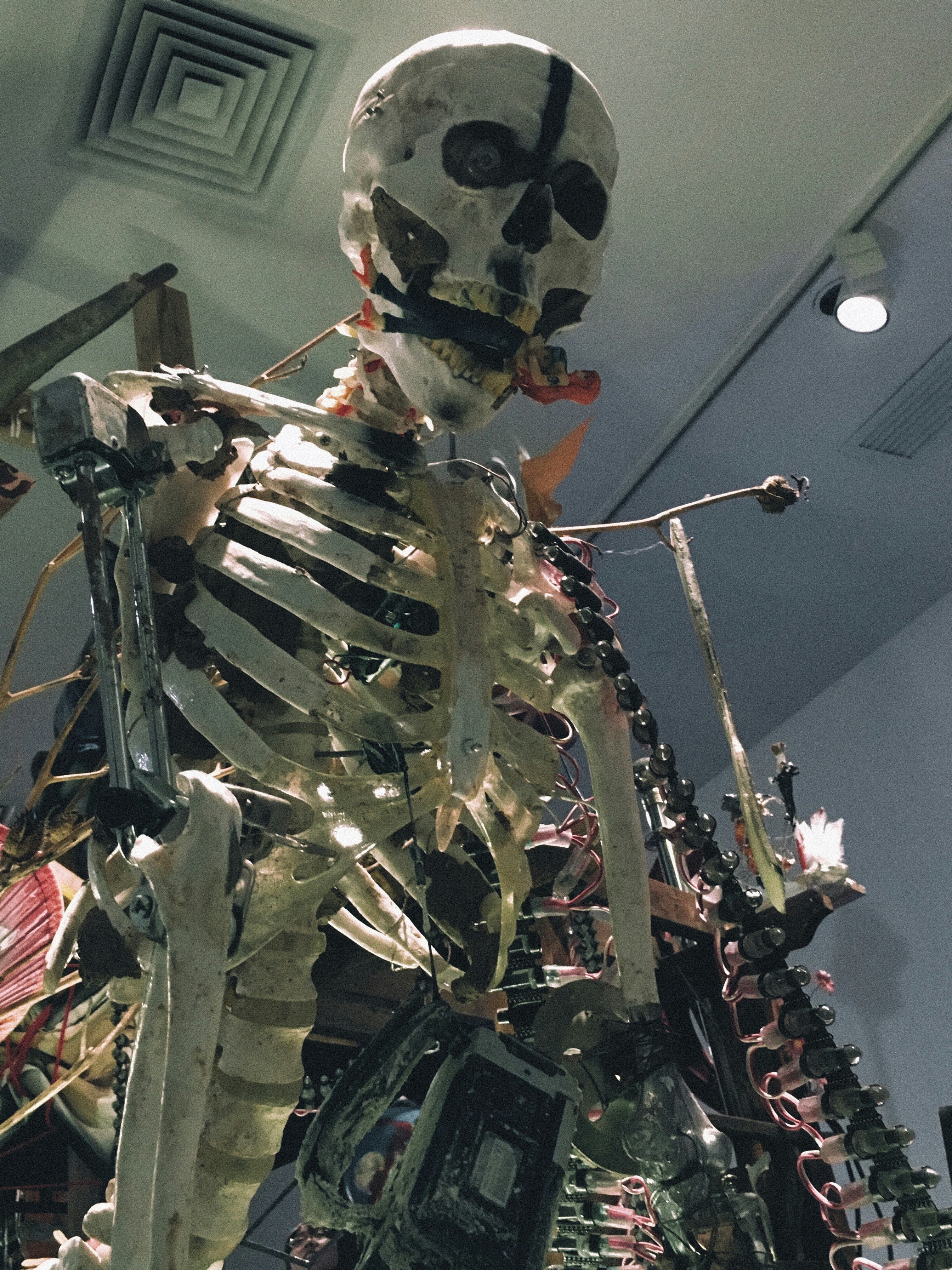 Skeleton of the Mechanical Muse in an Industrial Exhibit