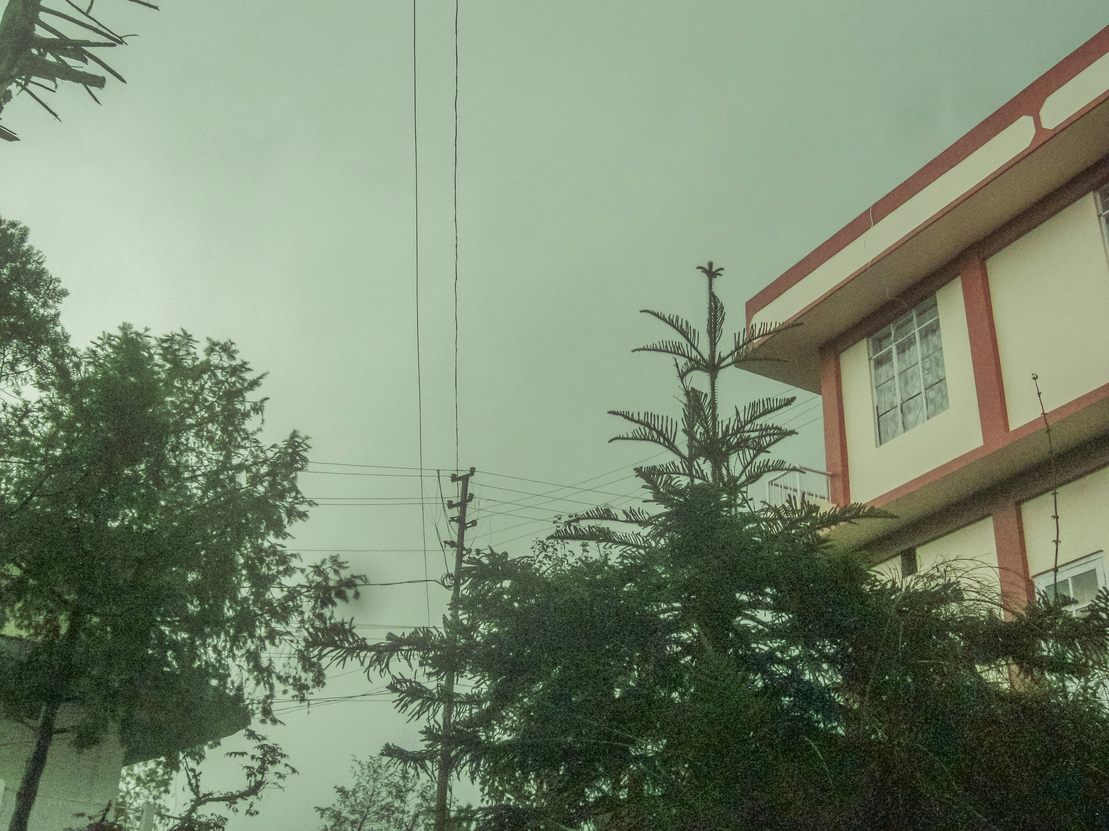 Trees and power lines silhouetted against a cloudy sky near a building.