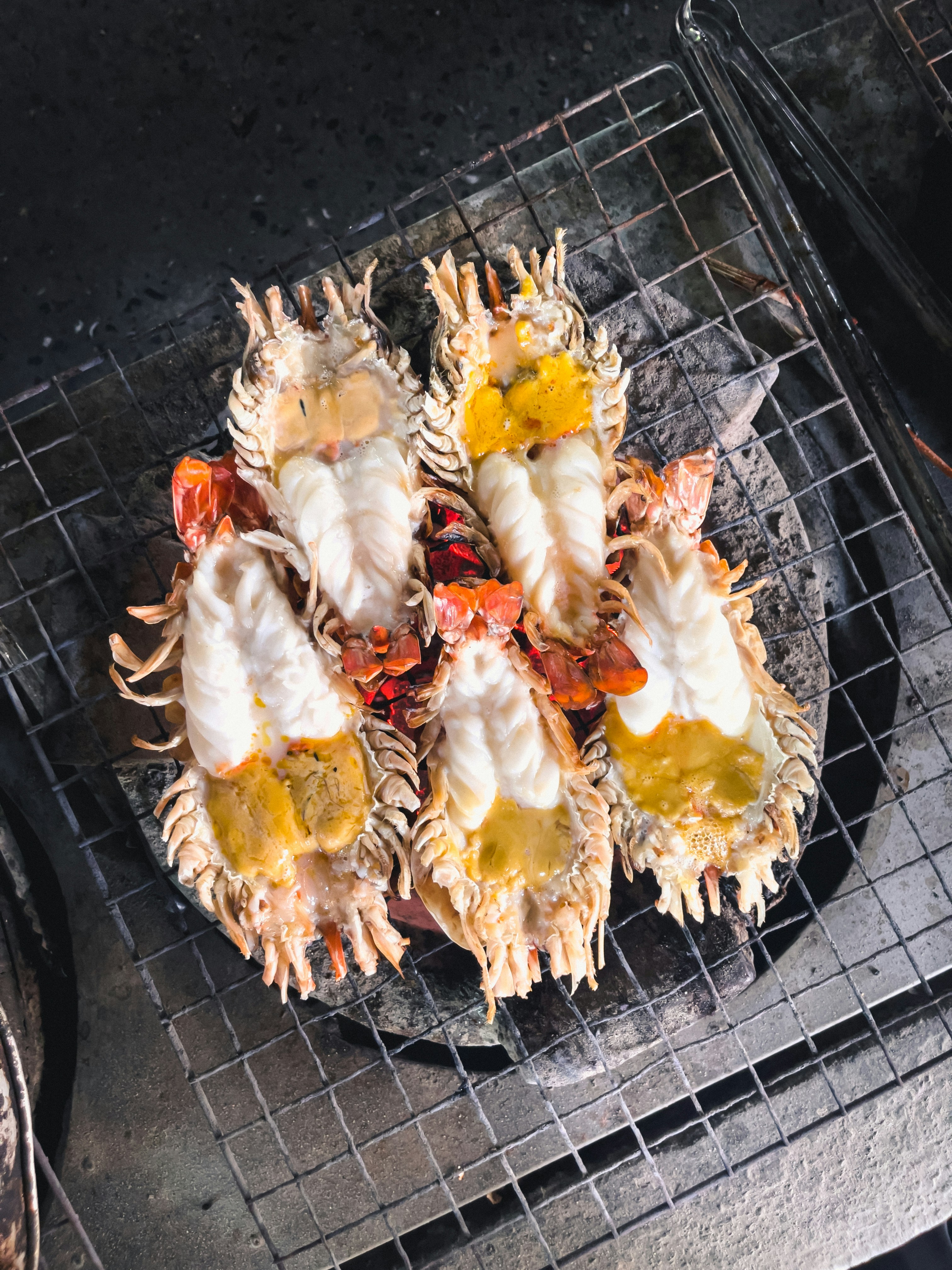 Charred Mantis Shrimp Halves on a Wire Grill Over Embers