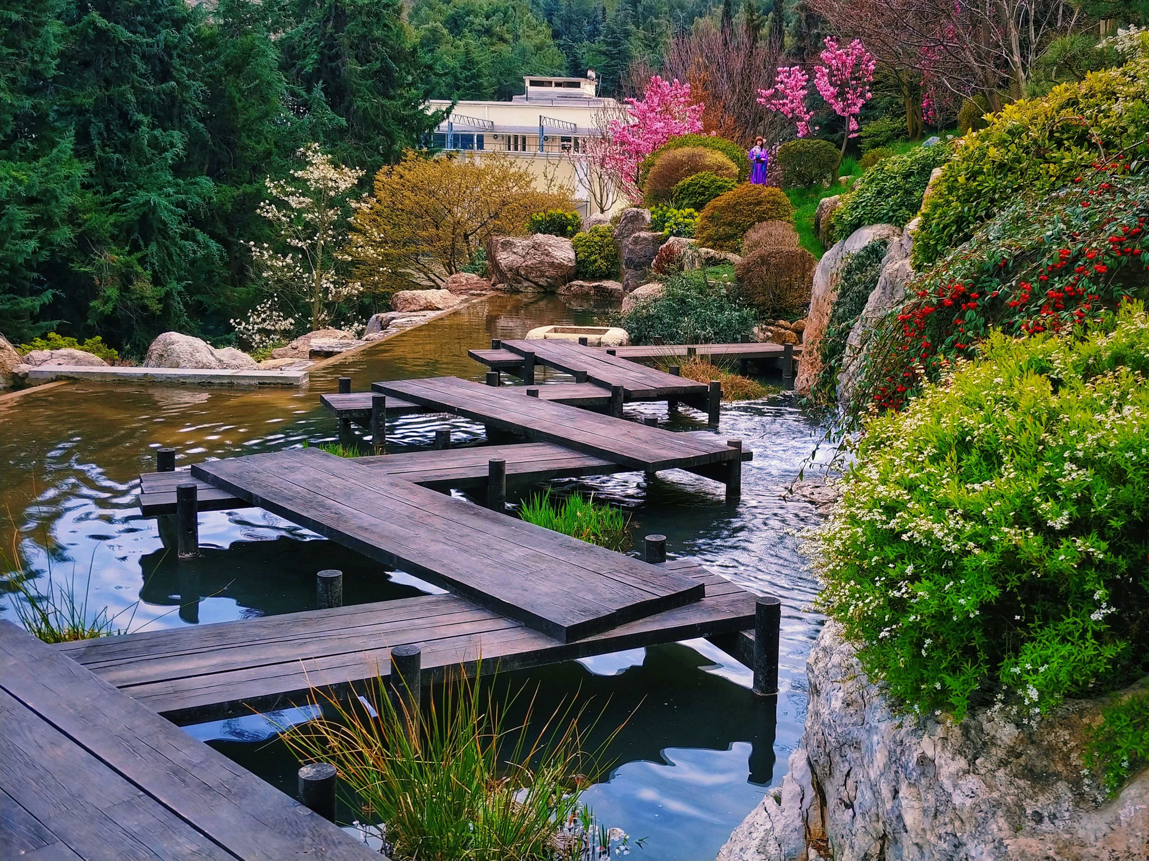 A tranquil Japanese-style garden scene featuring layered wooden walkways crossing a reflective pond, framed by manicured shrubs and flowering trees. The composition leads the eye toward the distant building beyond the water.