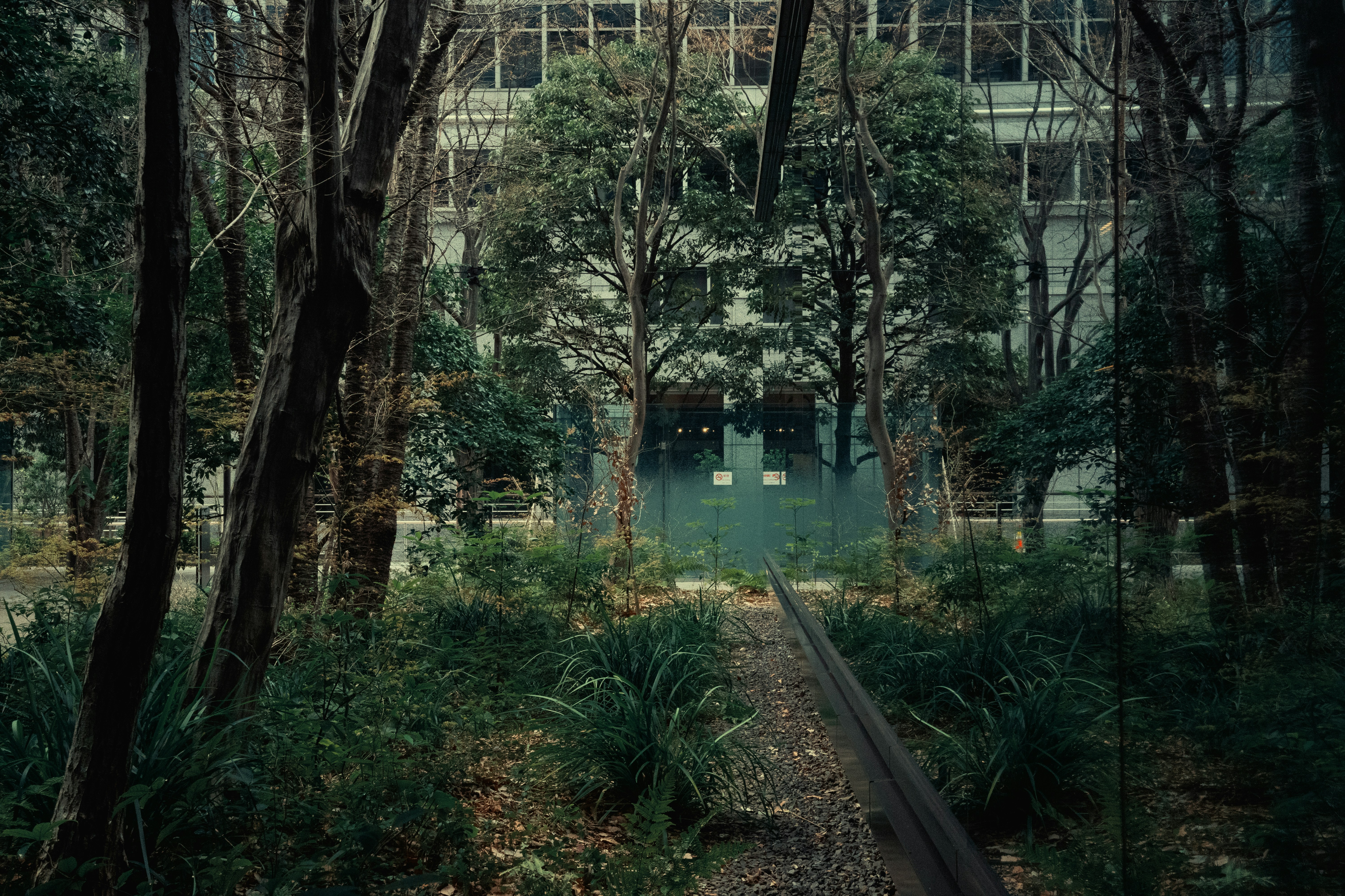a train track running through a forest filled with trees