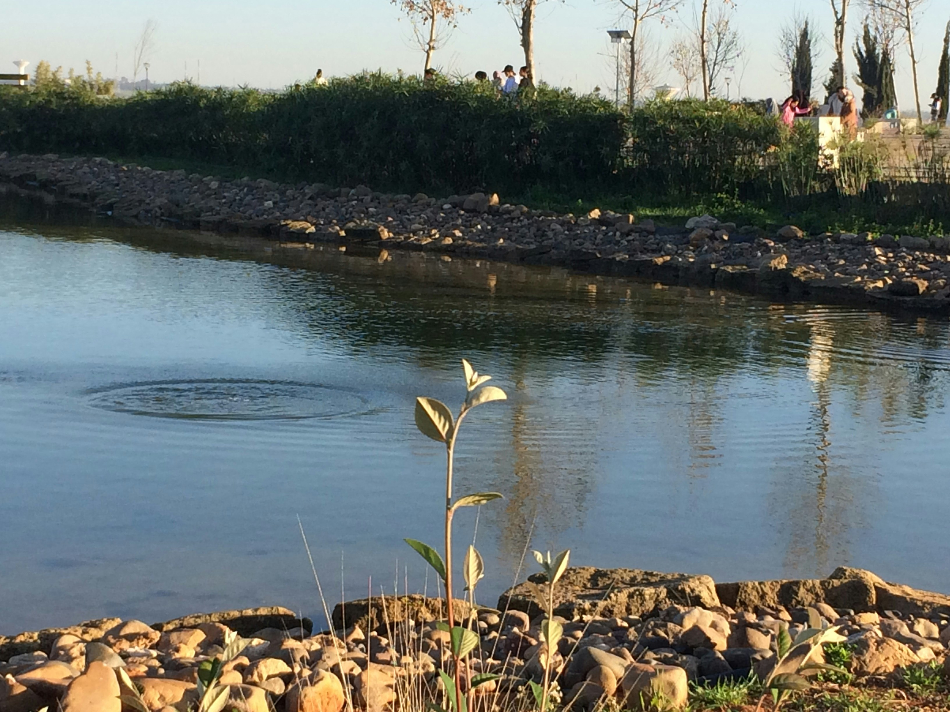Tamesna New Park For Local And Visitors 사진 | Unsplash에서 무료 이미지 다운로드