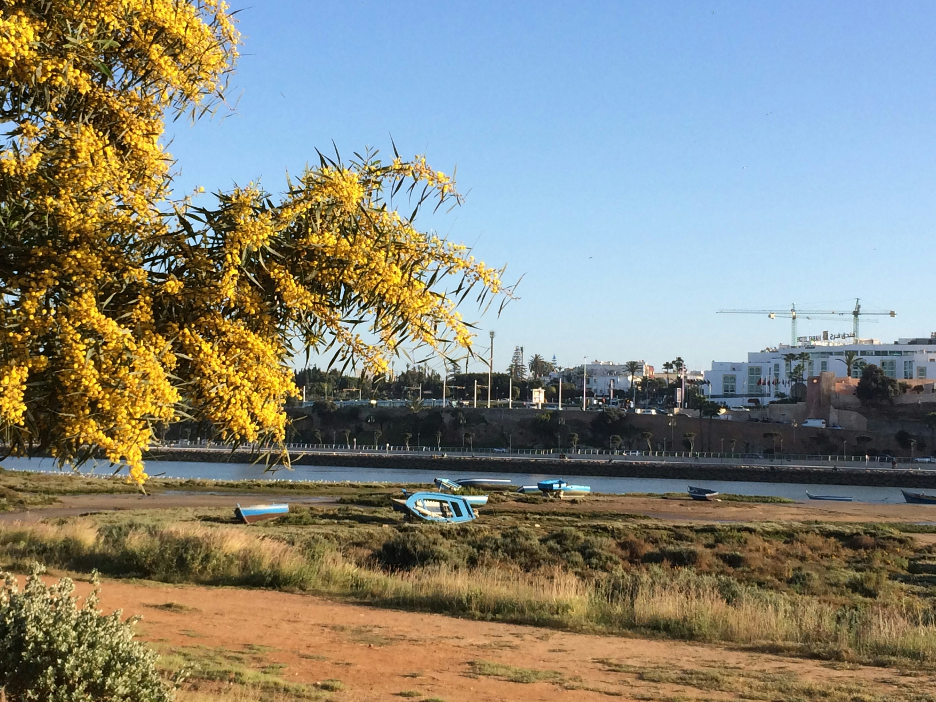 Imágenes de Bouregreg River Rabat Morocco | Descarga imágenes gratuitas en Unsplash