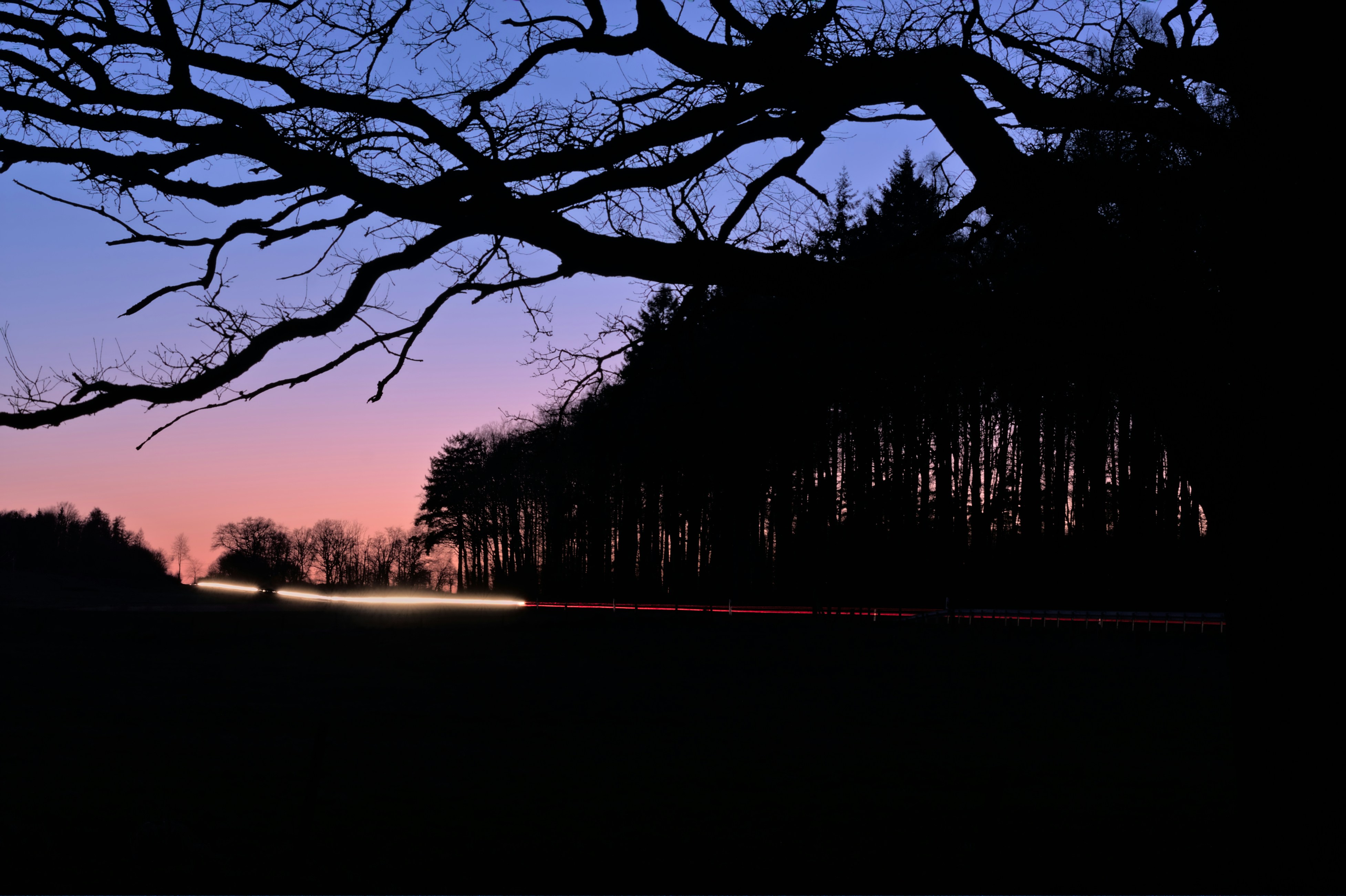 Silhouetted trees against a gradient twilight sky, with streaks of light hinting at distant movement. The scene captures the transition from day to night.