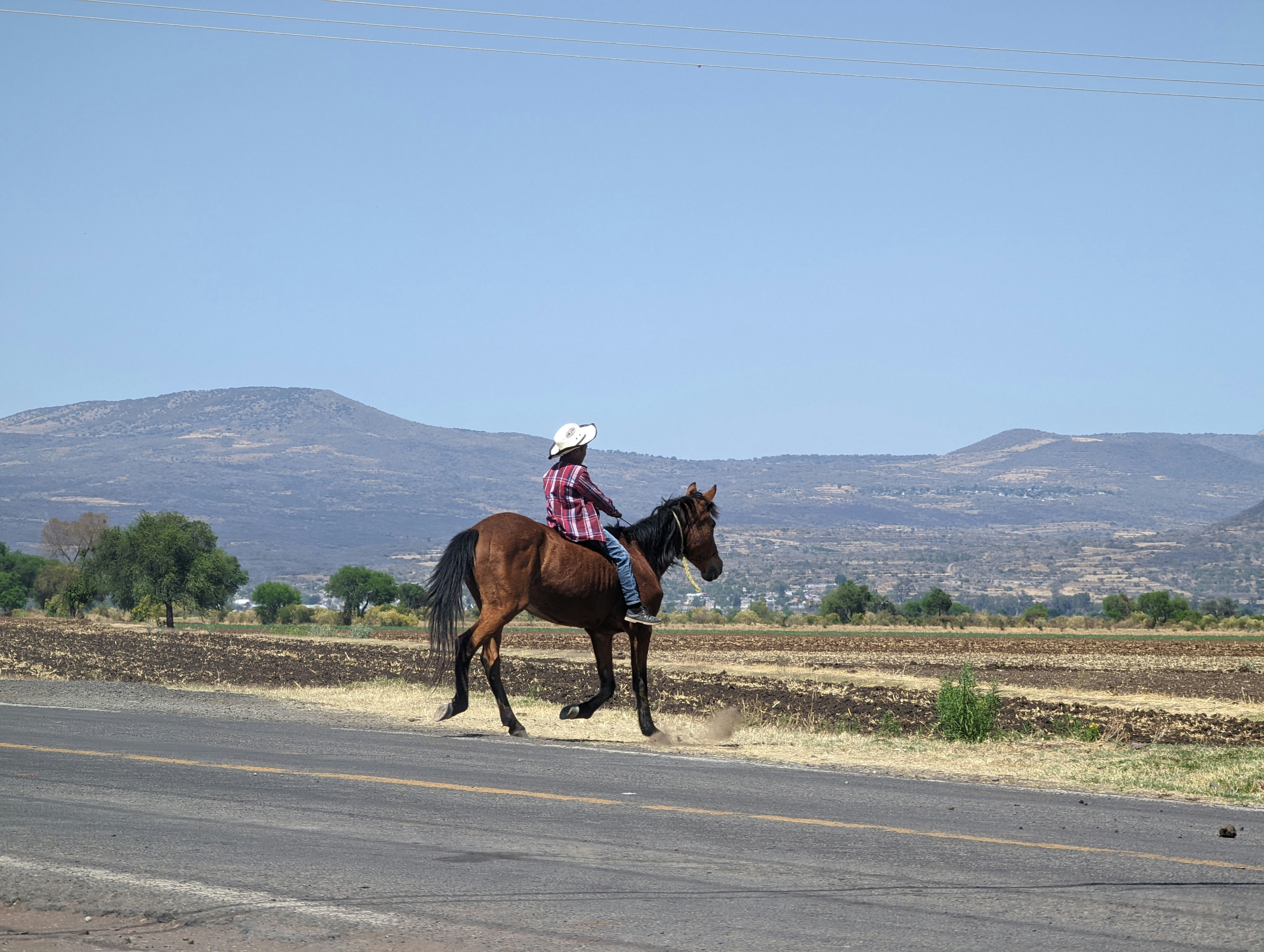Person on horseback traveling alongside a rural road with distant hills under a clear sky.