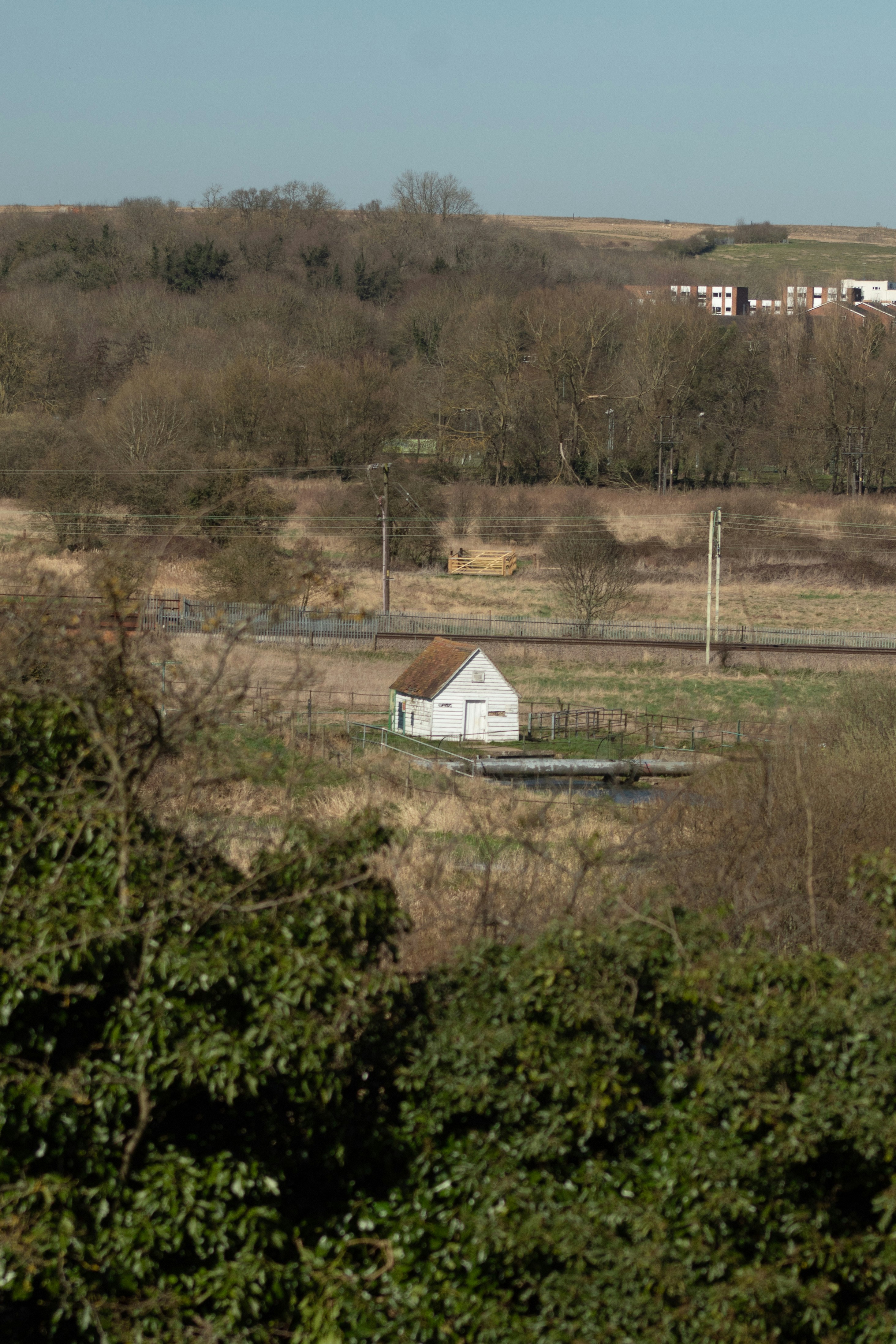 White Cottage by a Quiet Pond on a Winter-Brown Horizon