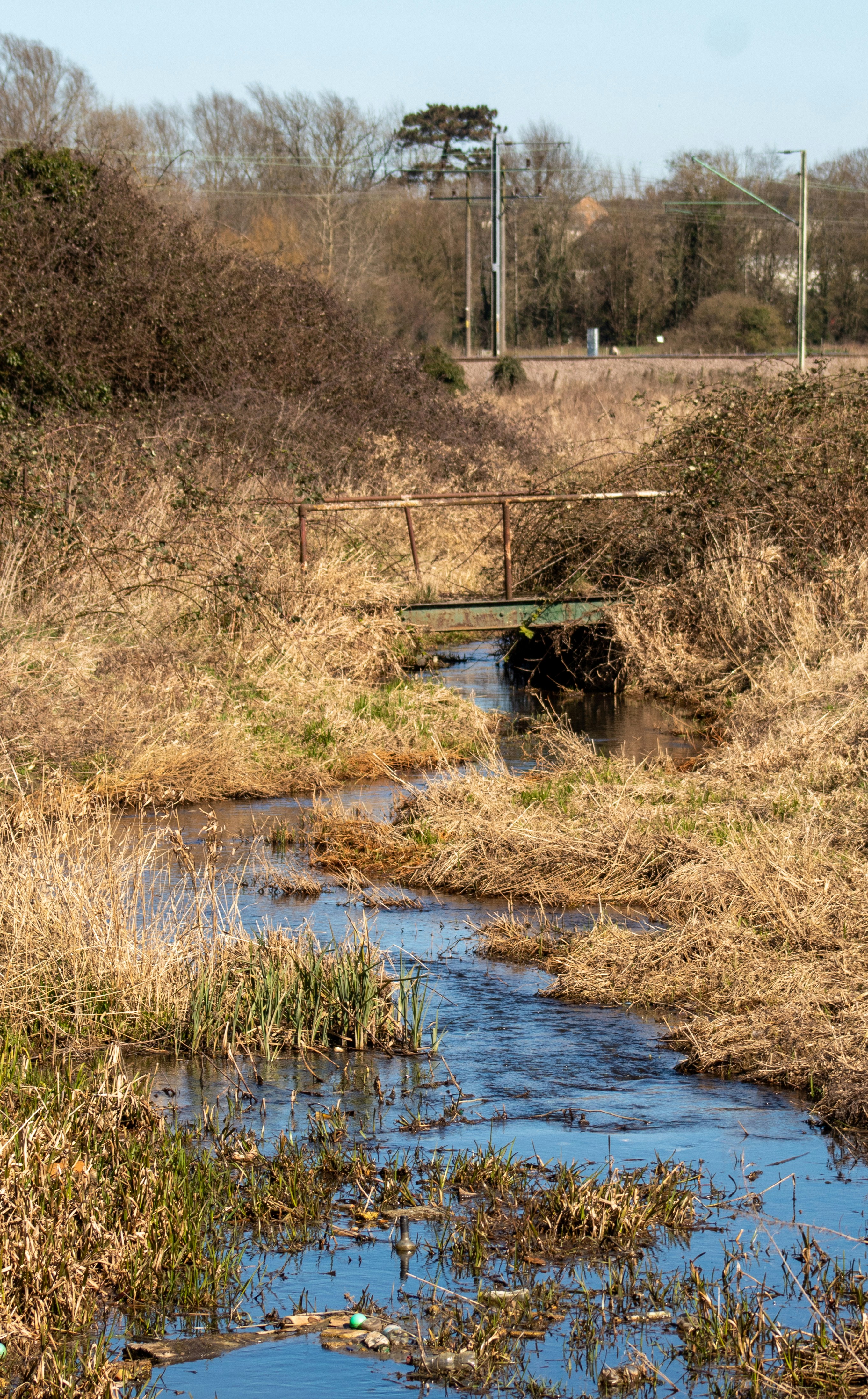 Bridge of Quiet Currents: A Narrow Creek Through Dry Meadow