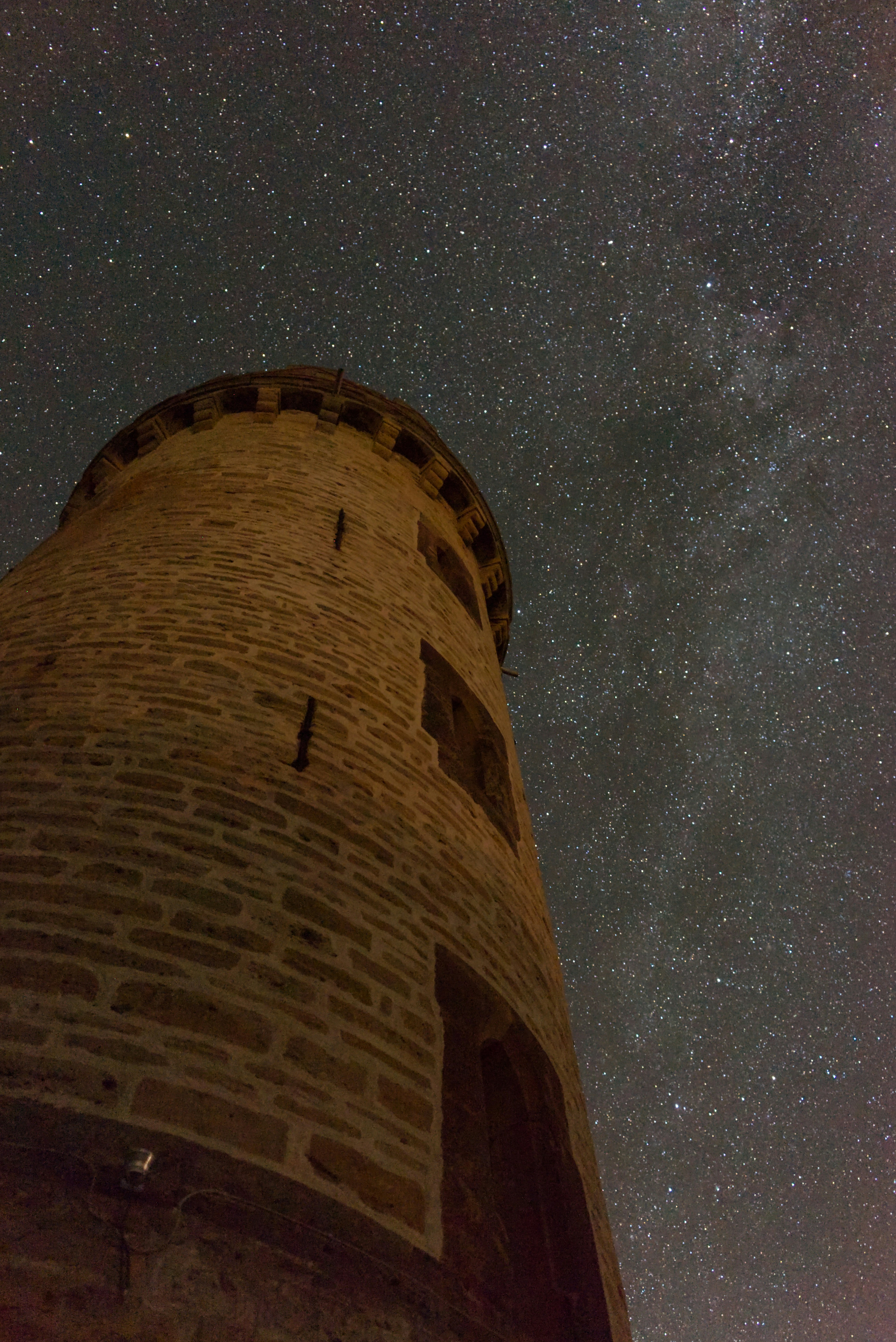 Stone Sentinel Beneath a Velvet Starfield