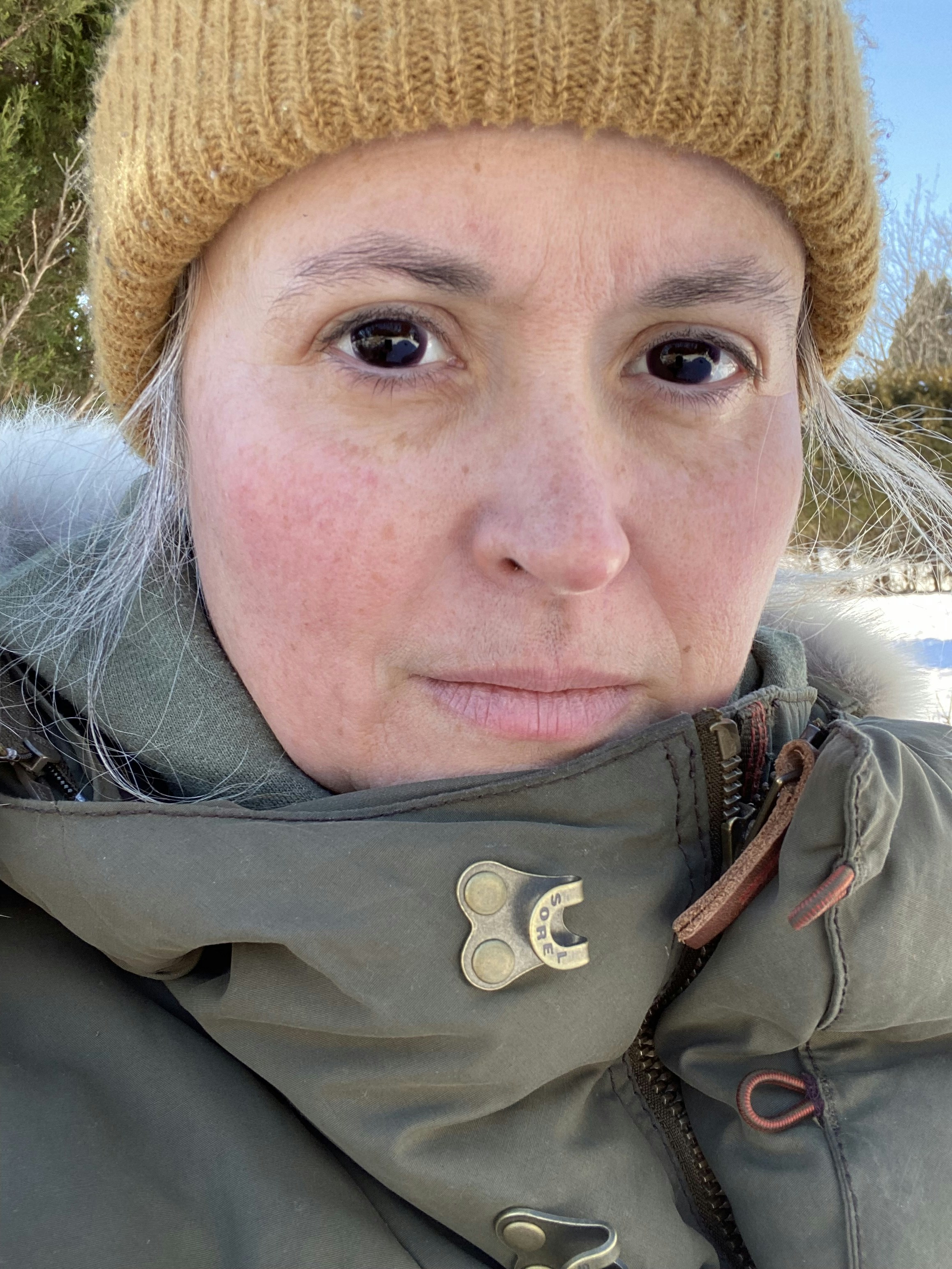 Frosted Gaze: A Winter Morning Portrait