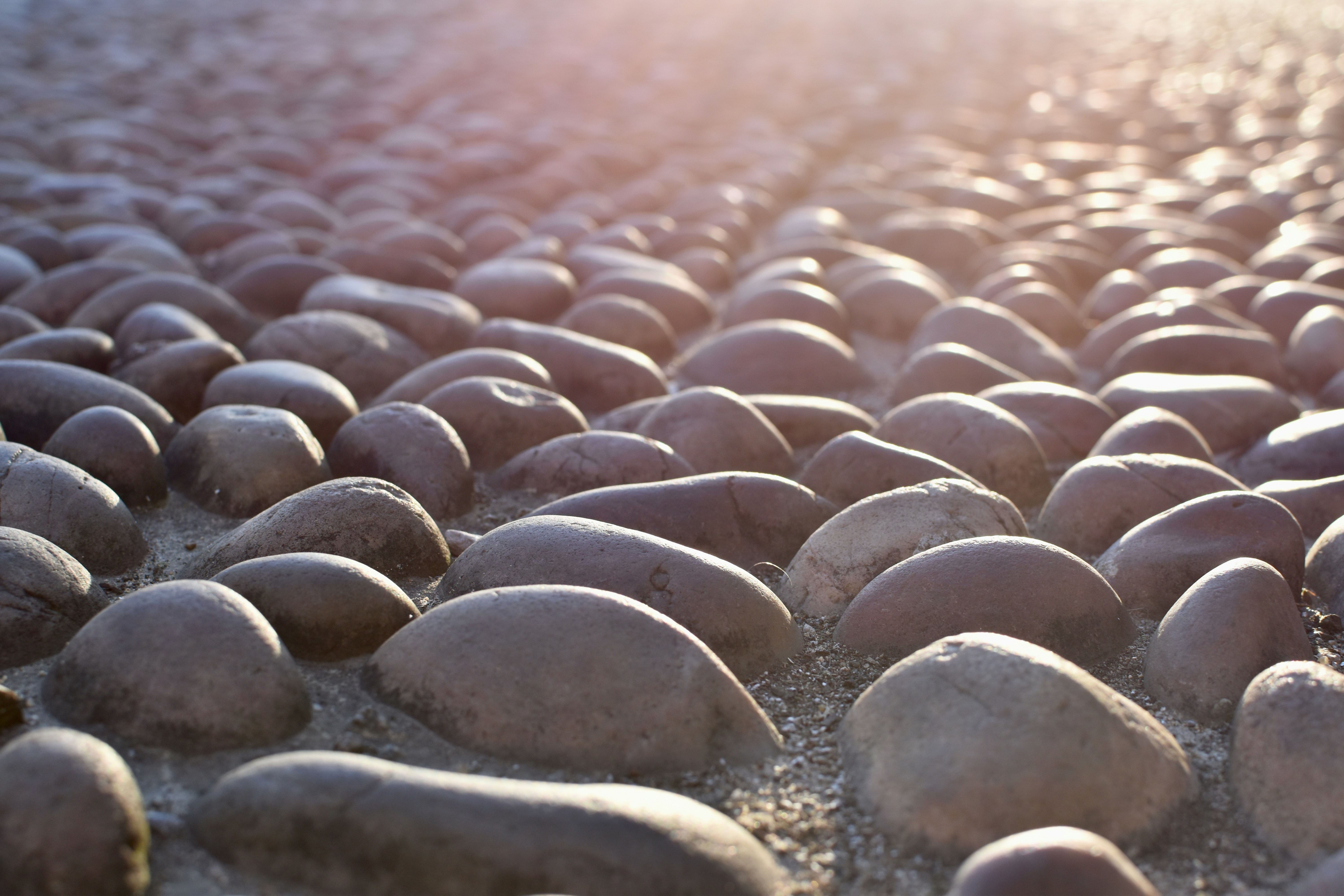 a bunch of rocks that are laying in the sand