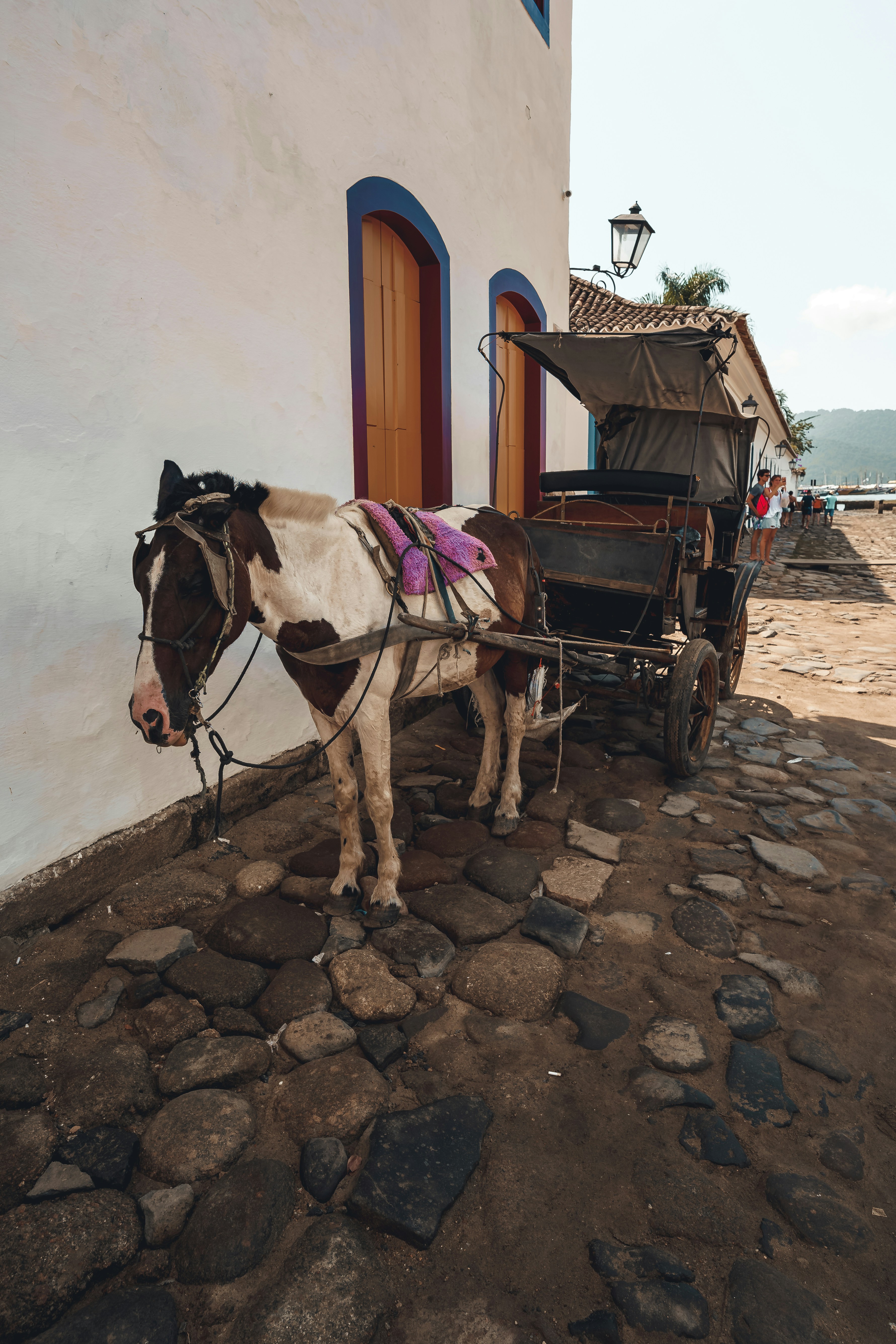 Blue-Arch Lane: A Horse-Drawn Carriage Paused by Sunlit Cobblestones