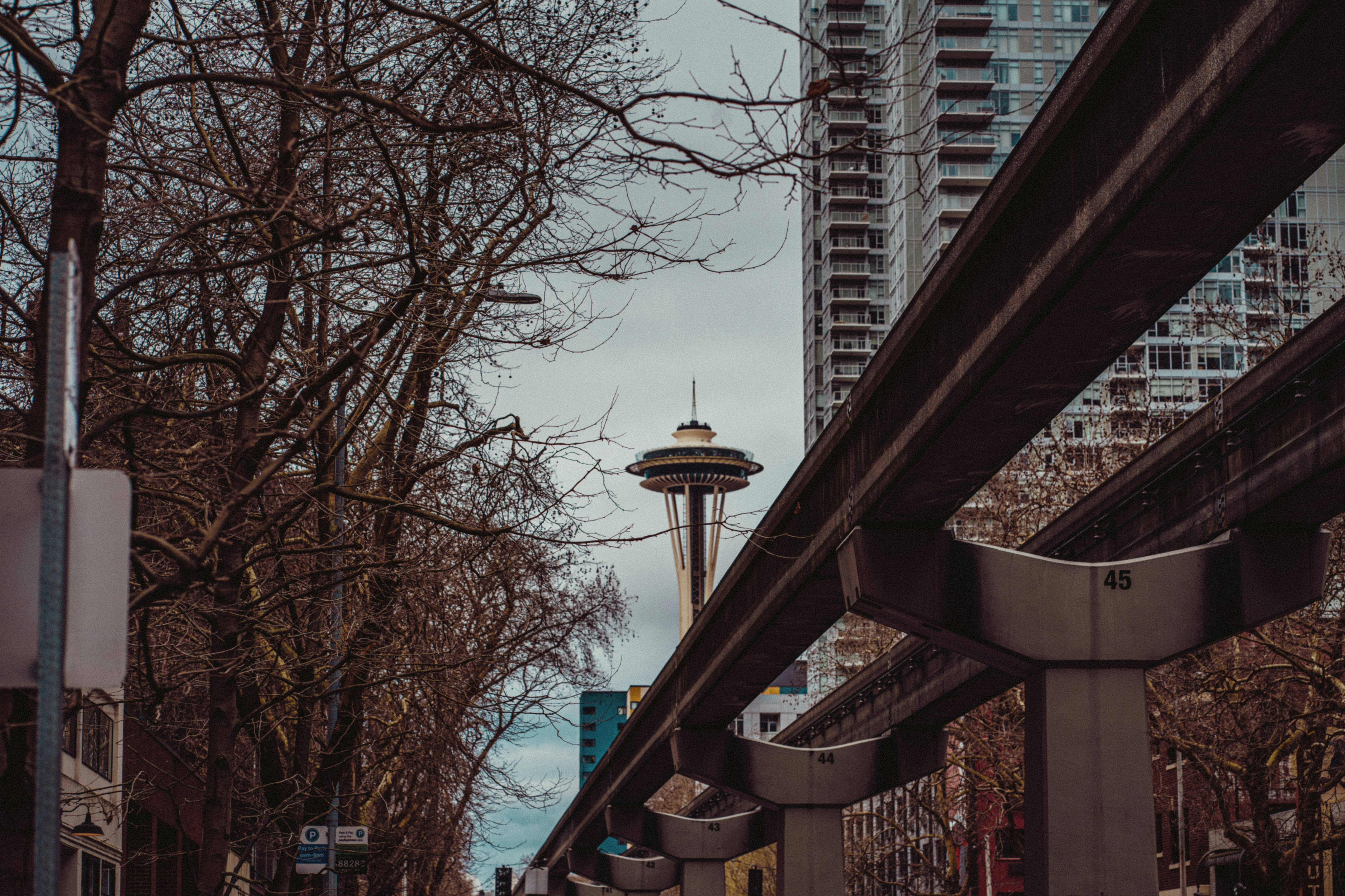 750+ Space Needle Pictures | Download Free Images on Unsplash