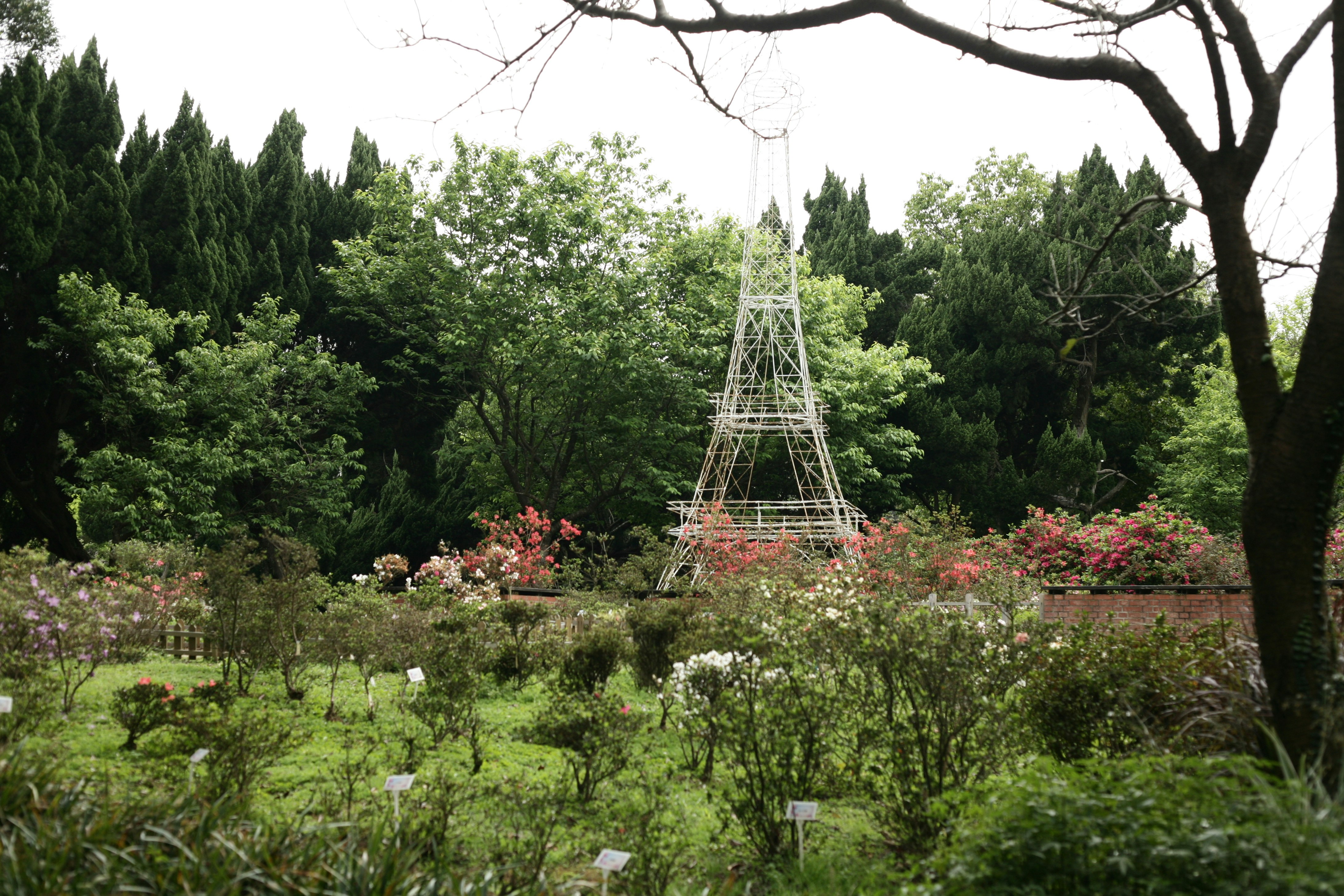 a tall tower sitting in the middle of a lush green forest
