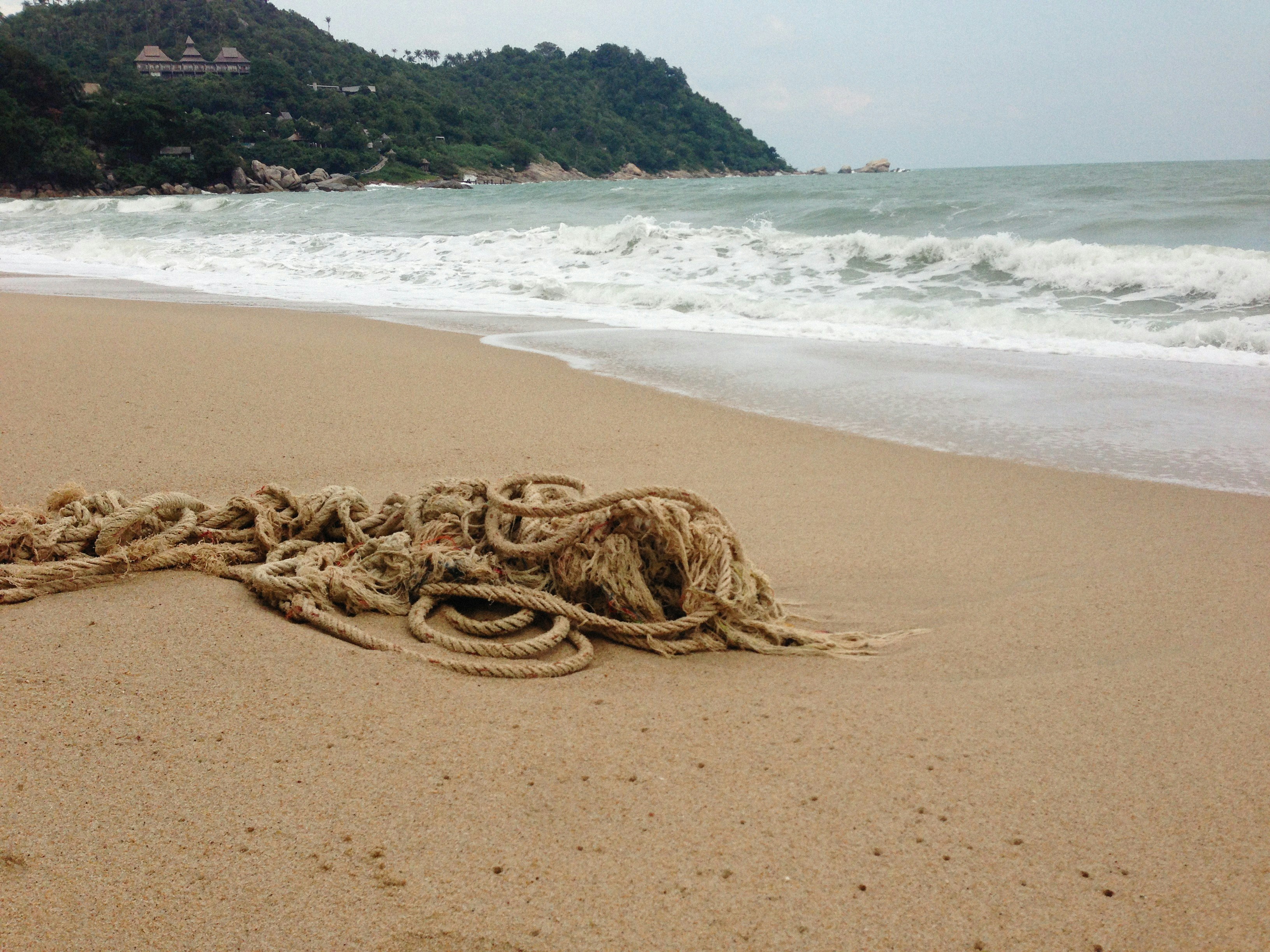 A pile of rope sitting on top of a sandy beach photo – Free Animal ...