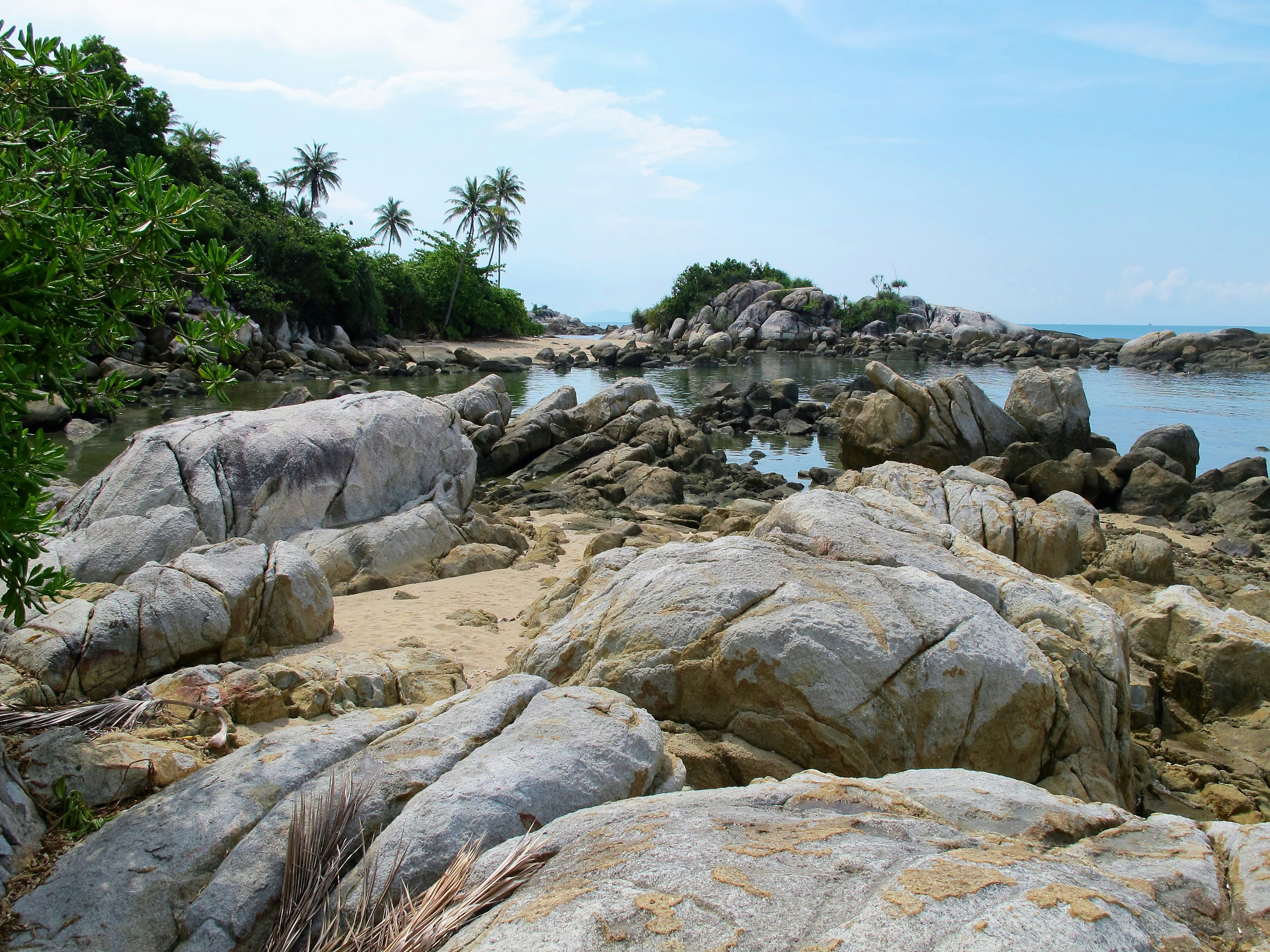 Foto zum Thema Ein felsiger Strand mit Palmen und einem Gewässer ...