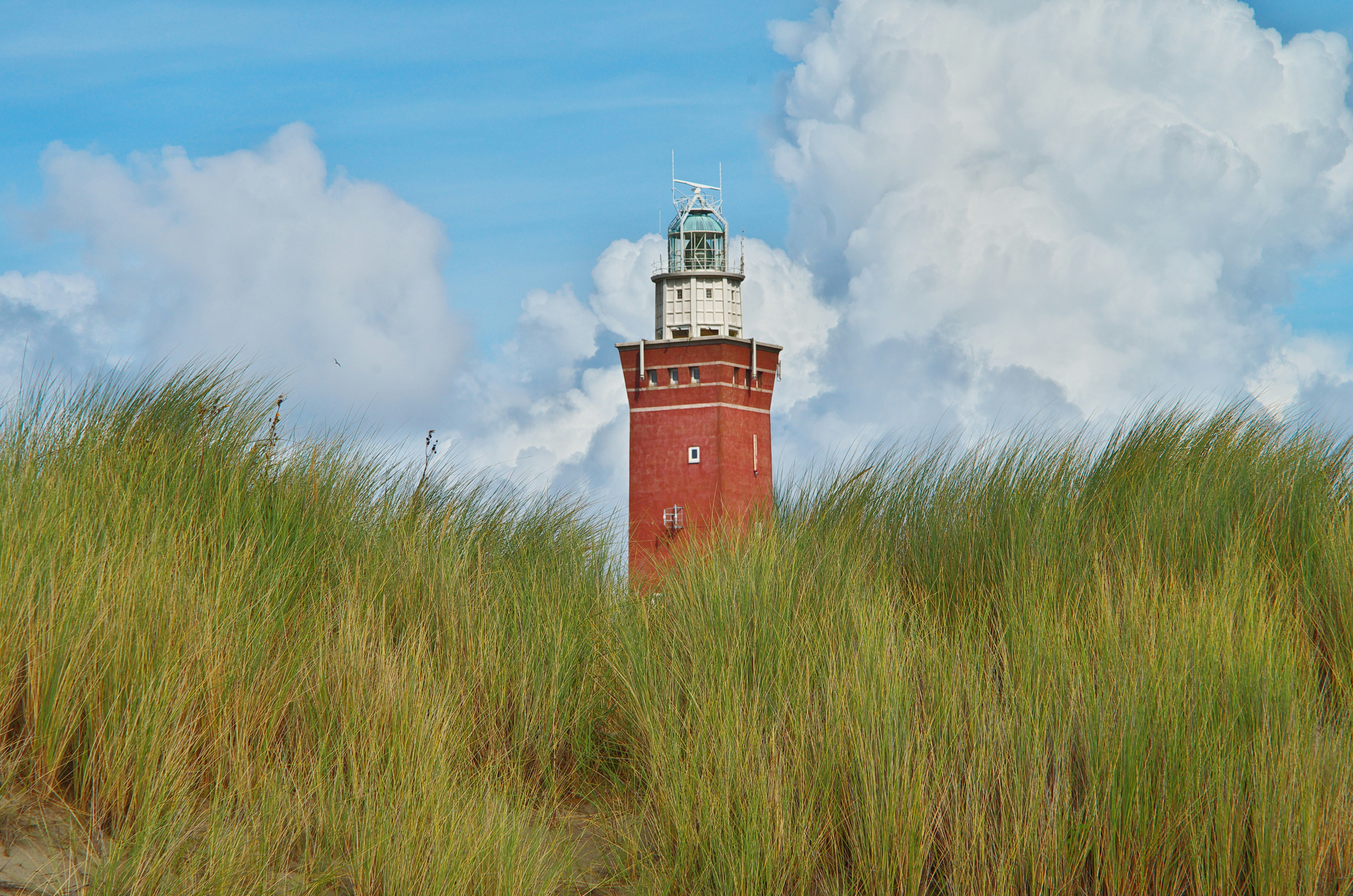 A historic lighthouse rises above lush beach grass under a vibrant sky, symbolizing guidance and resilience.