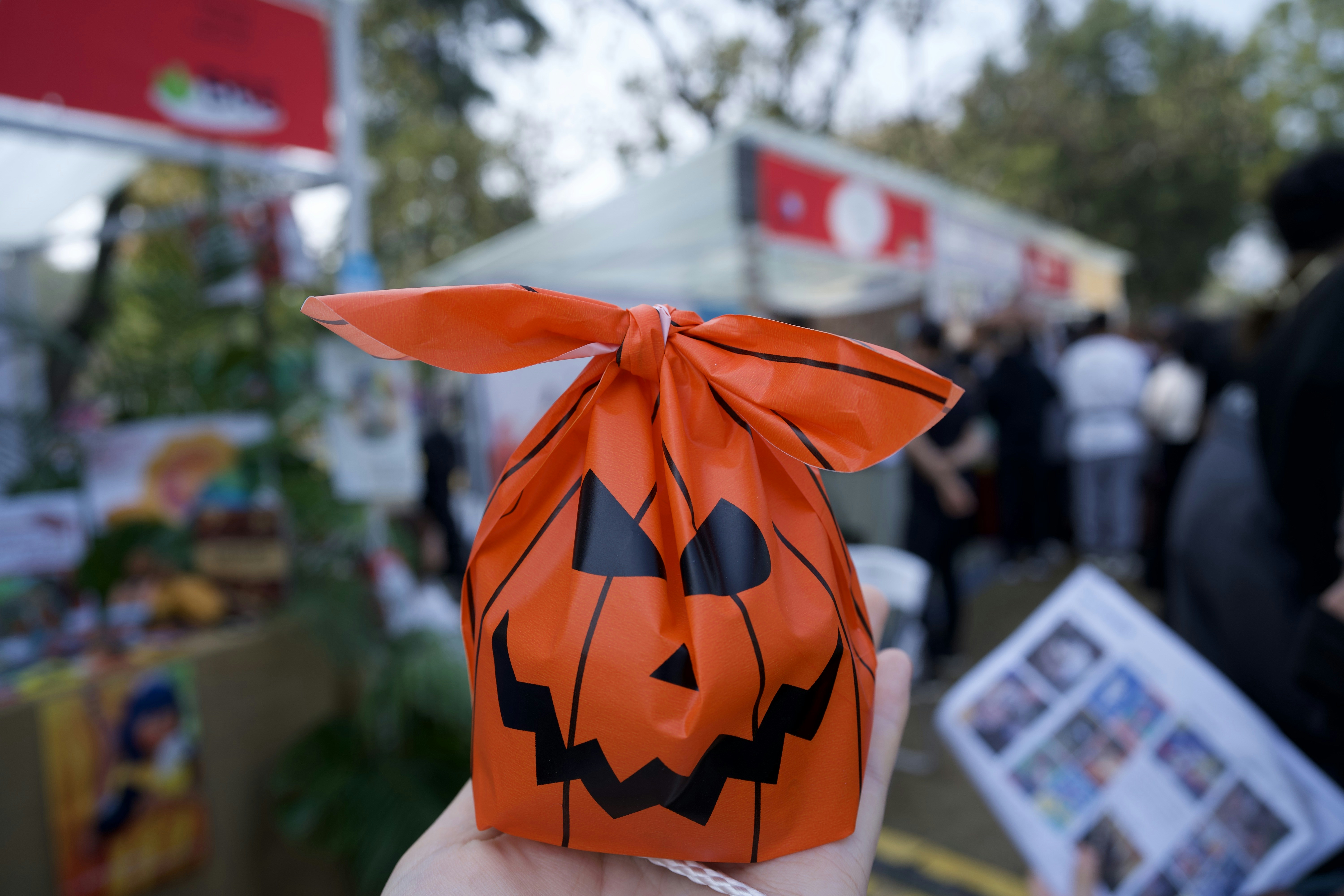 Jack-o’-Lantern Surprise: A Halloween Treat in Focus