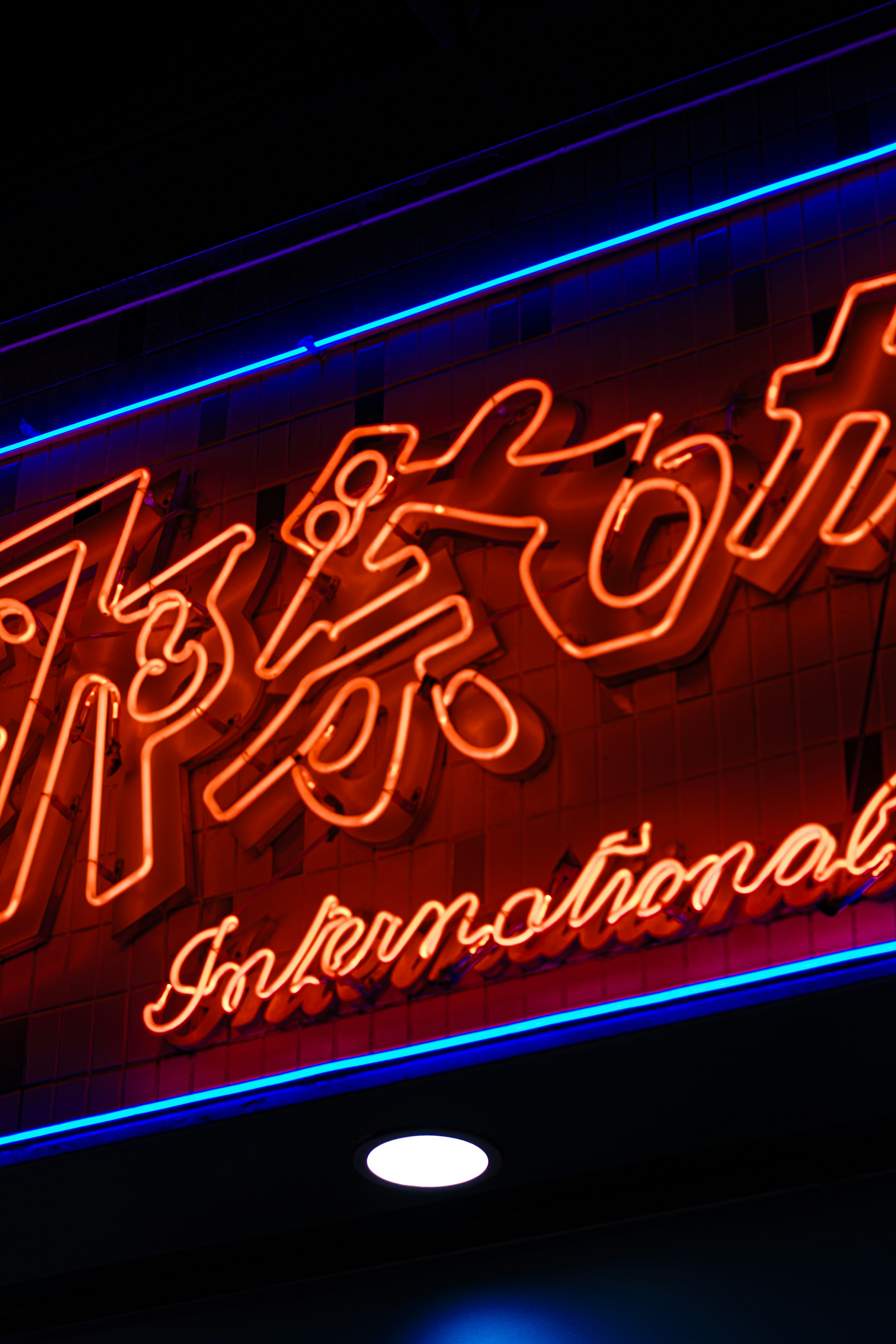 Crimson Neon Script: International Flanked by Electric Blue Rails