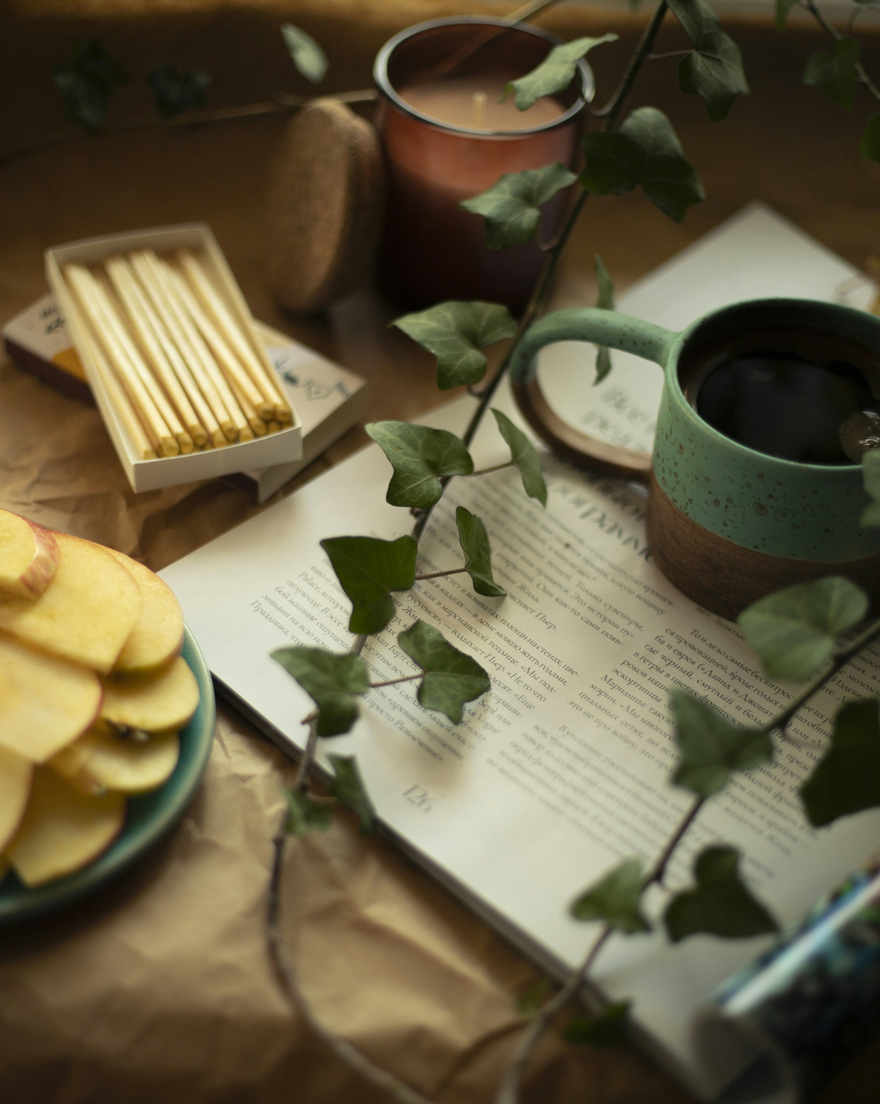 Soft Things | 100+ best free soft, plant, brown and pottery photos on ...