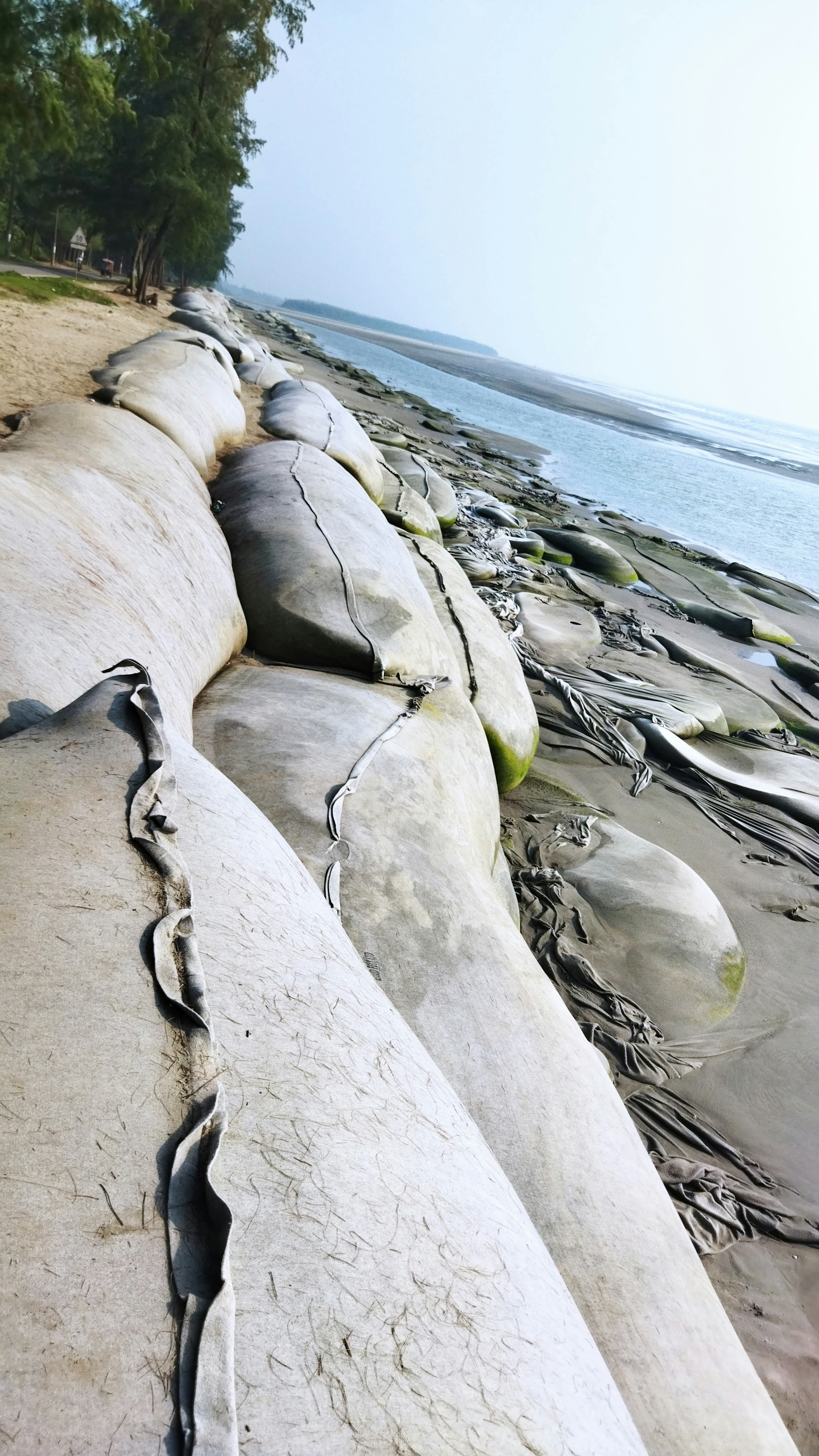 Bank Armoring: Protecting Against Erosion Impacts with Sustainable ...