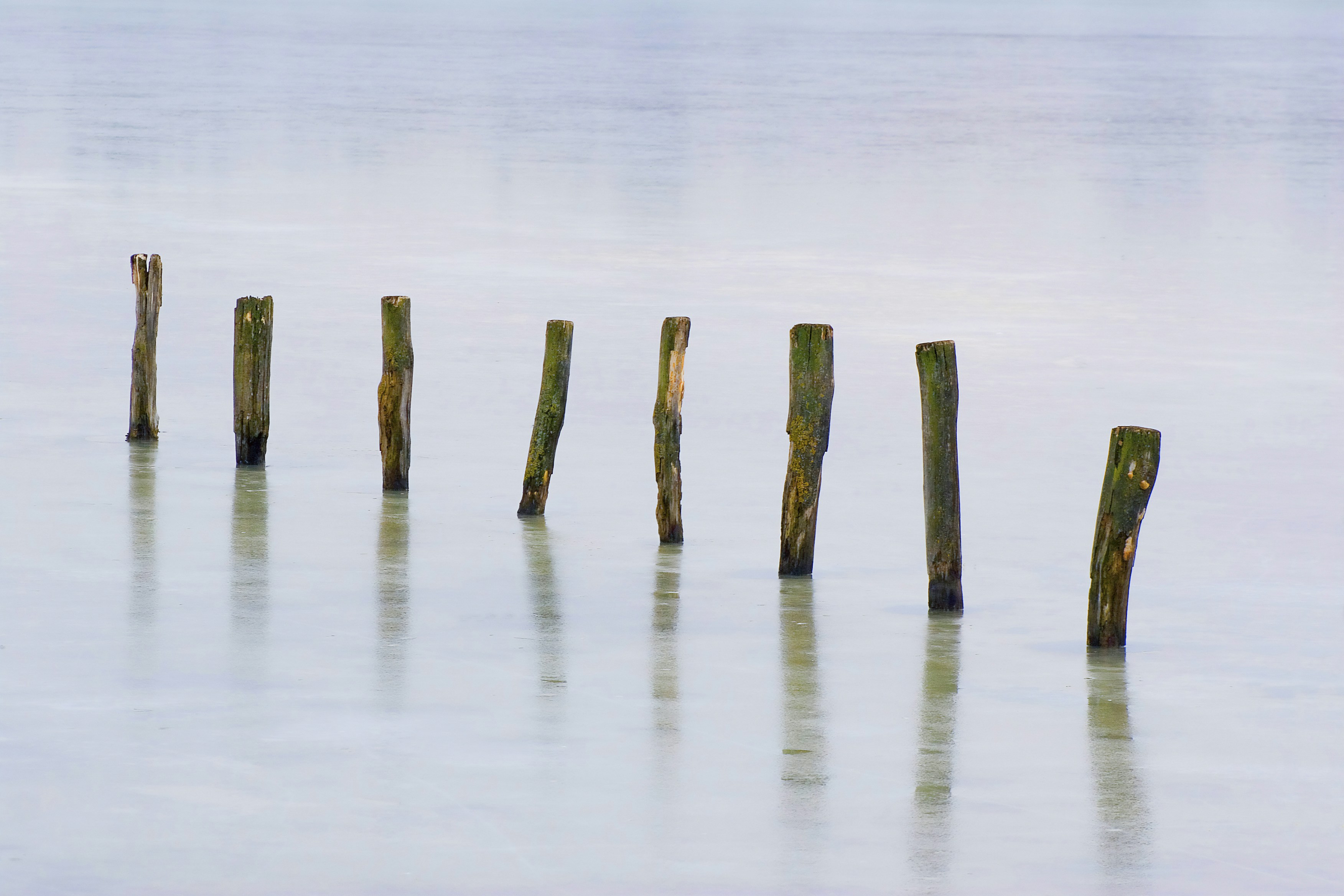 A group of wooden posts sticking out of the water photo – Free Winter ...
