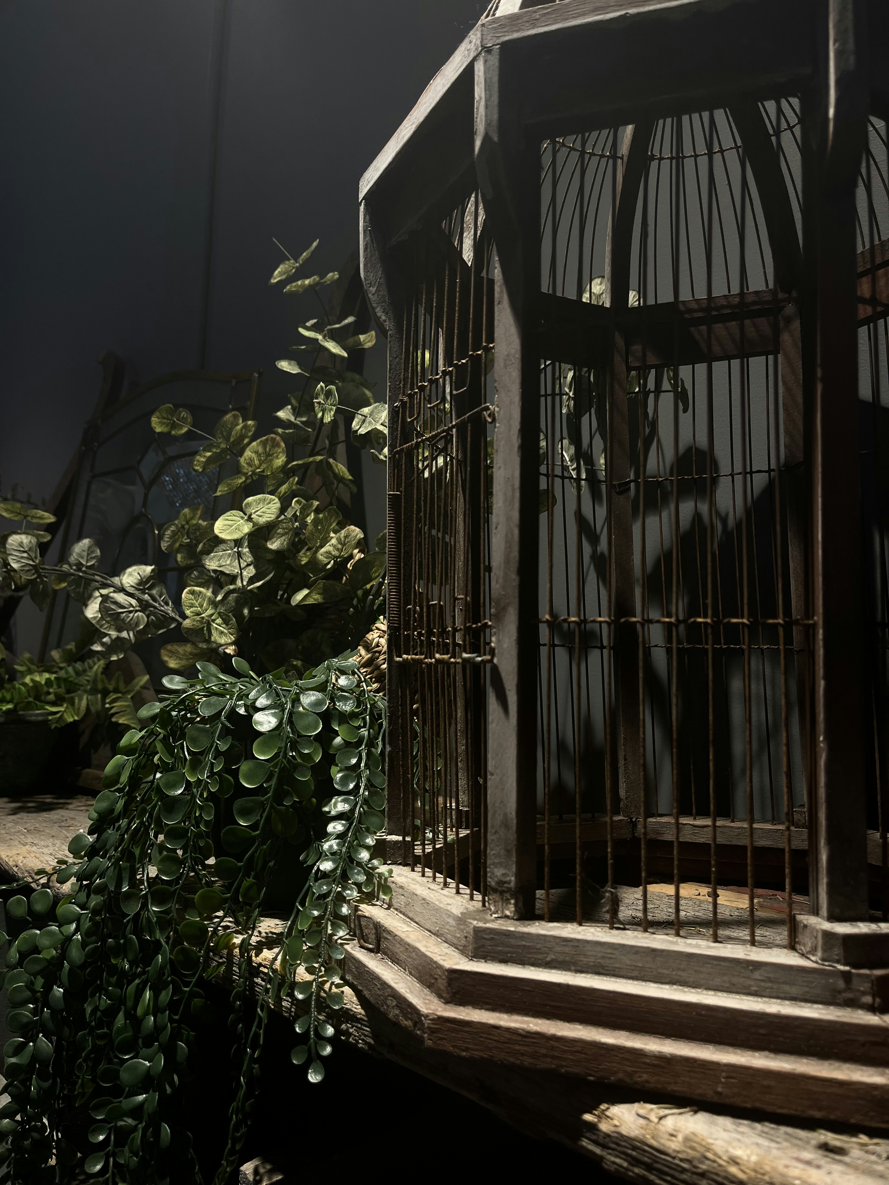 Aged Birdcage Overgrown with Greenery Along a Dusk-Soft Wall