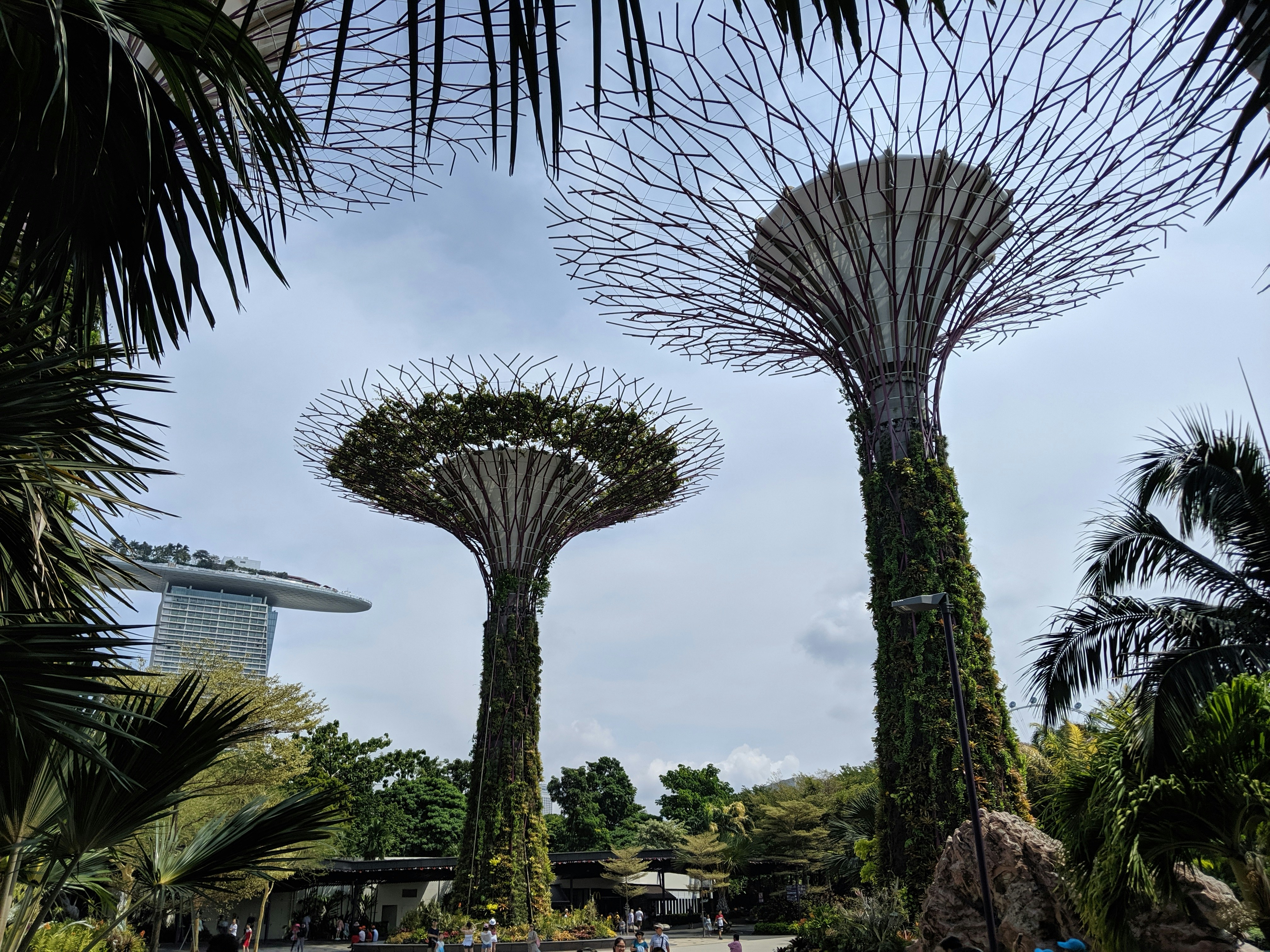 Vertical Gardens under a Sky of Metal Palms