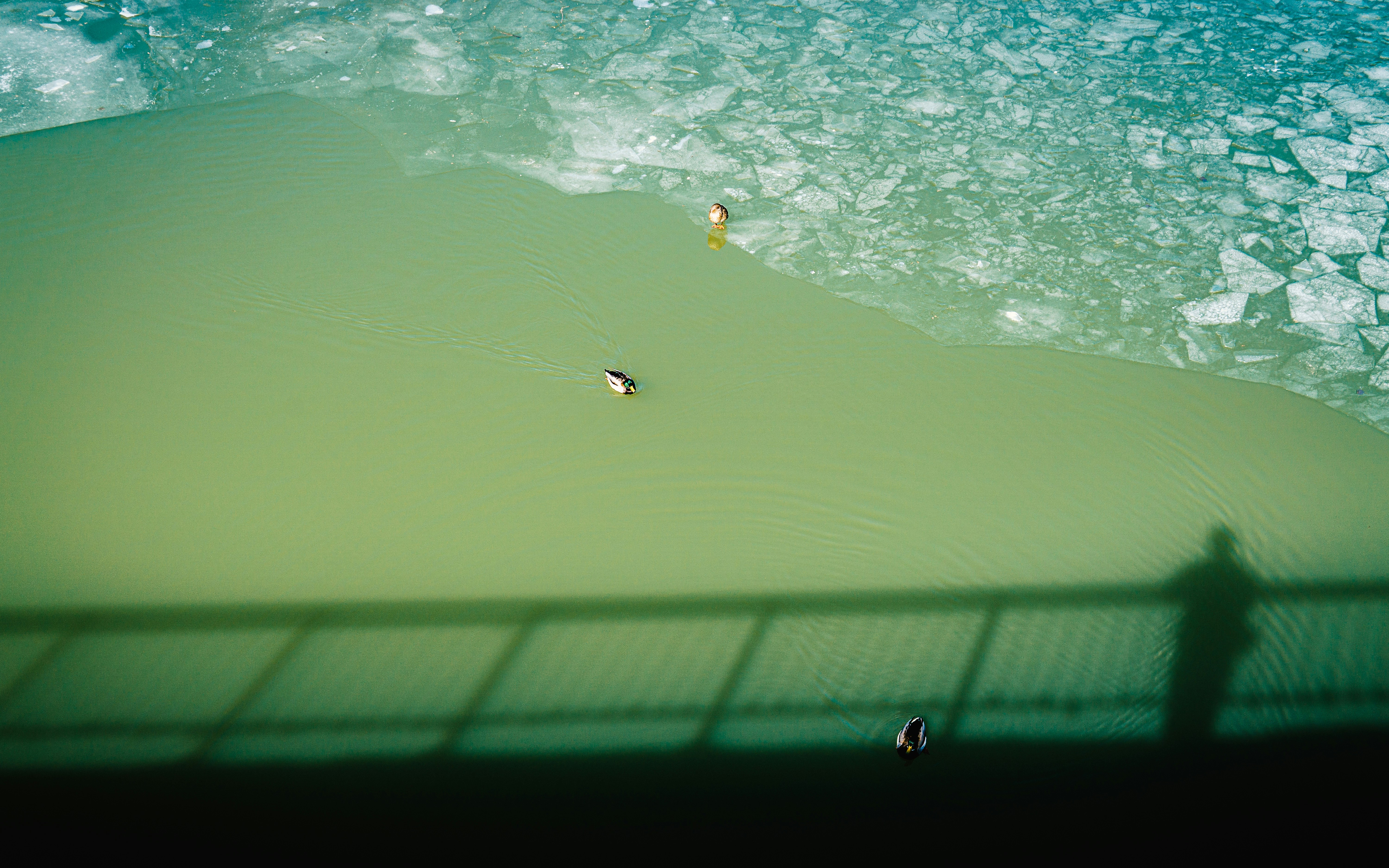 Photo by Yuriy Vertikov with Sony Alpha 5100