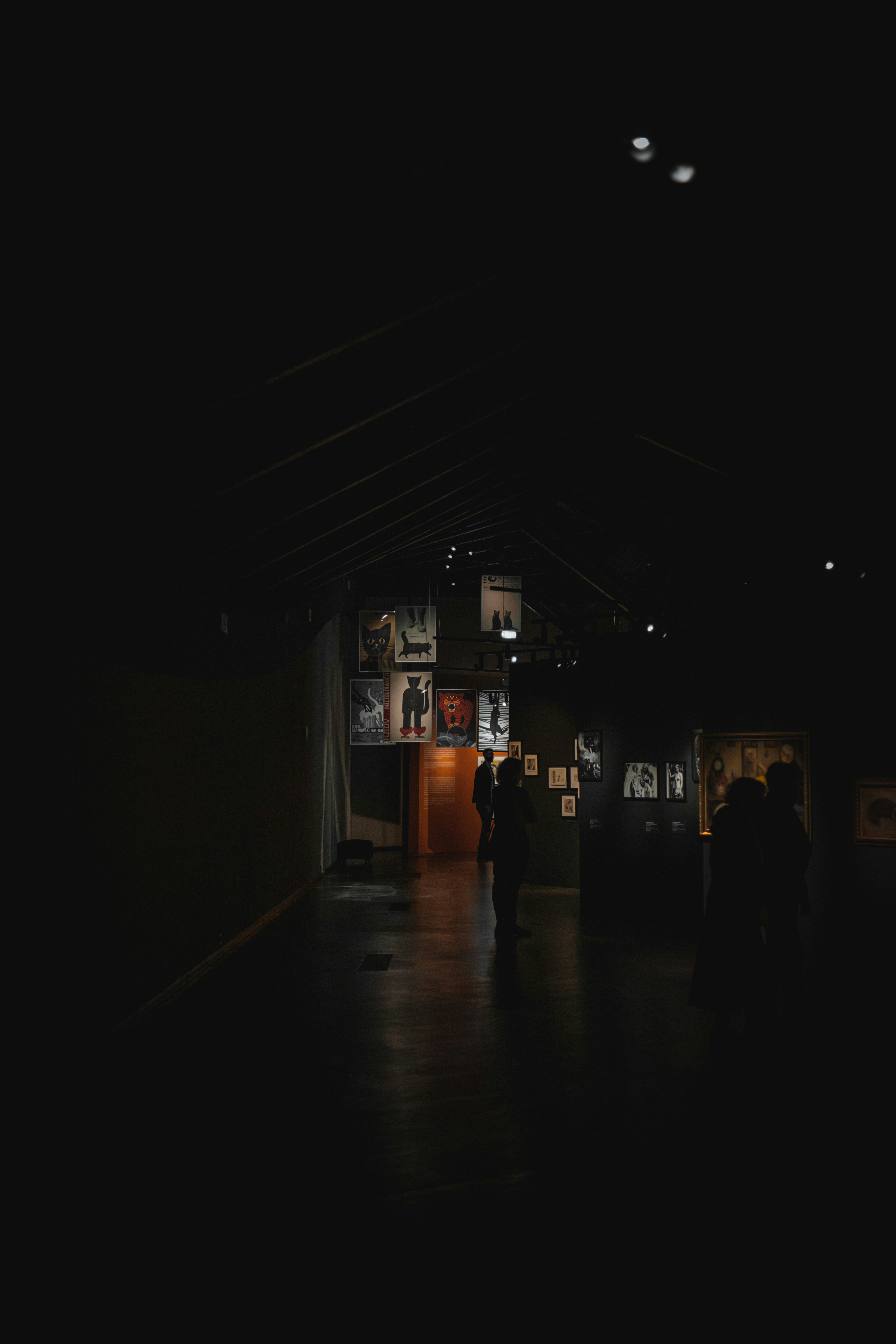 Dimly lit art gallery showcasing various framed artworks along the walls, with silhouettes of visitors exploring the space.