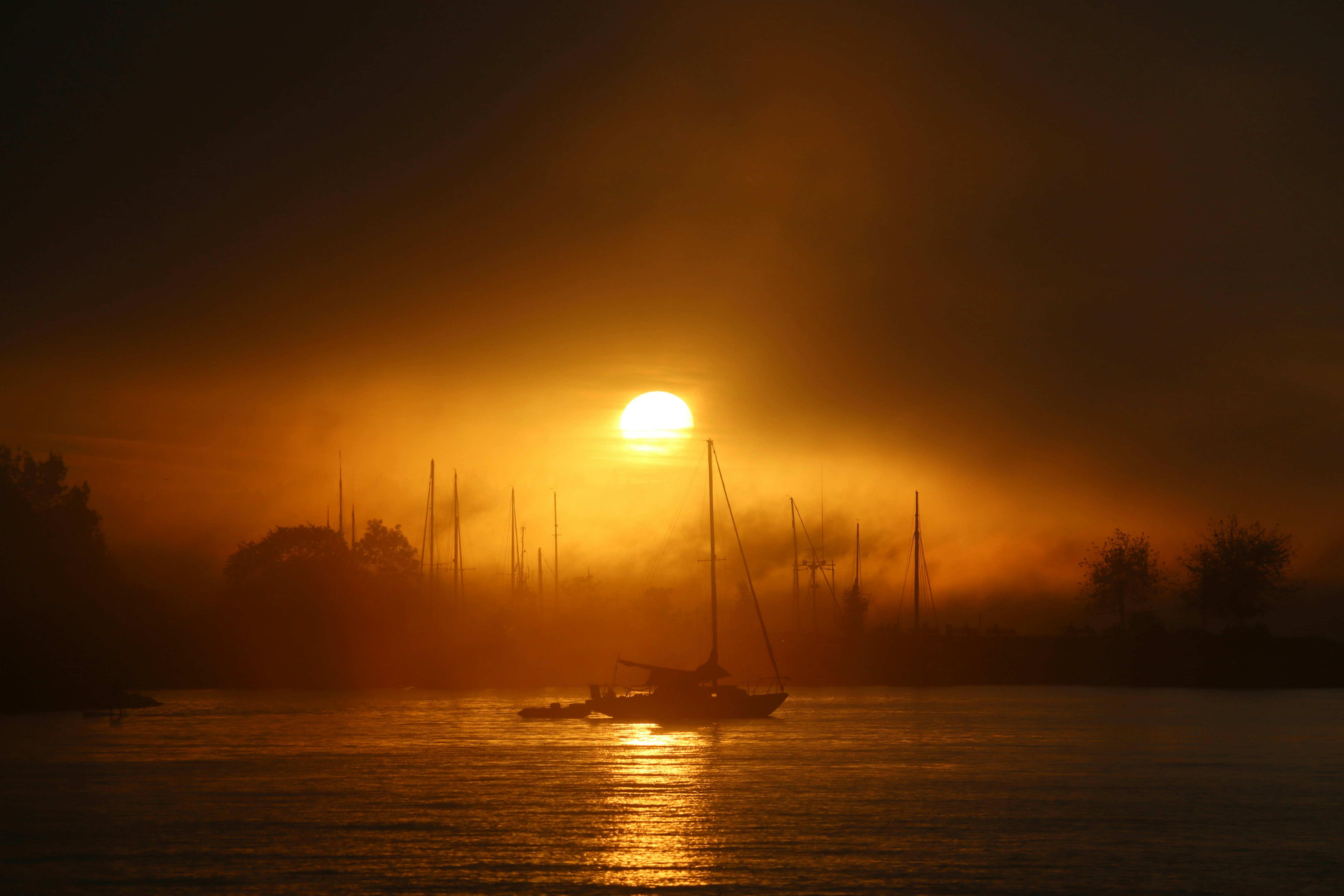 Sunlit Harbor Mist: A lone sailboat gliding through fog toward the golden hour