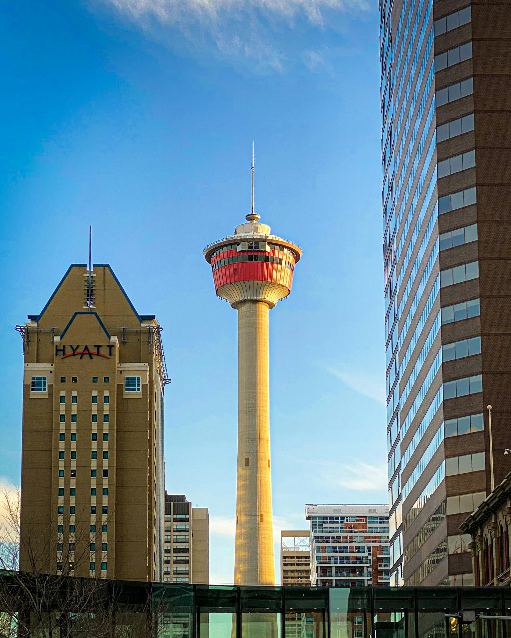 Towering Needle: A City Skyline Framed by Hyatt and Modern High-Rises