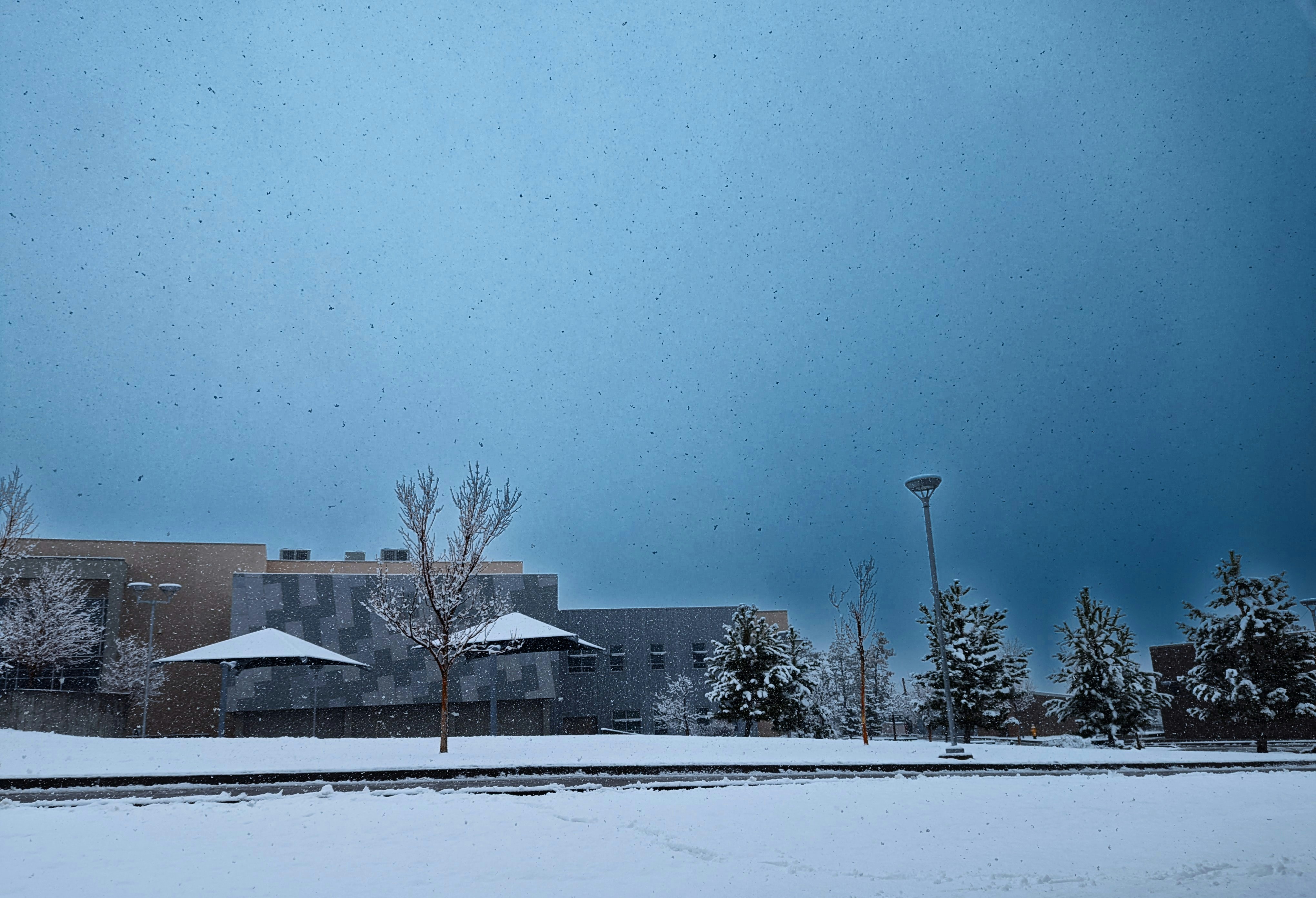 Urban landscape with snow-covered trees and buildings under a blue sky during snowfall.