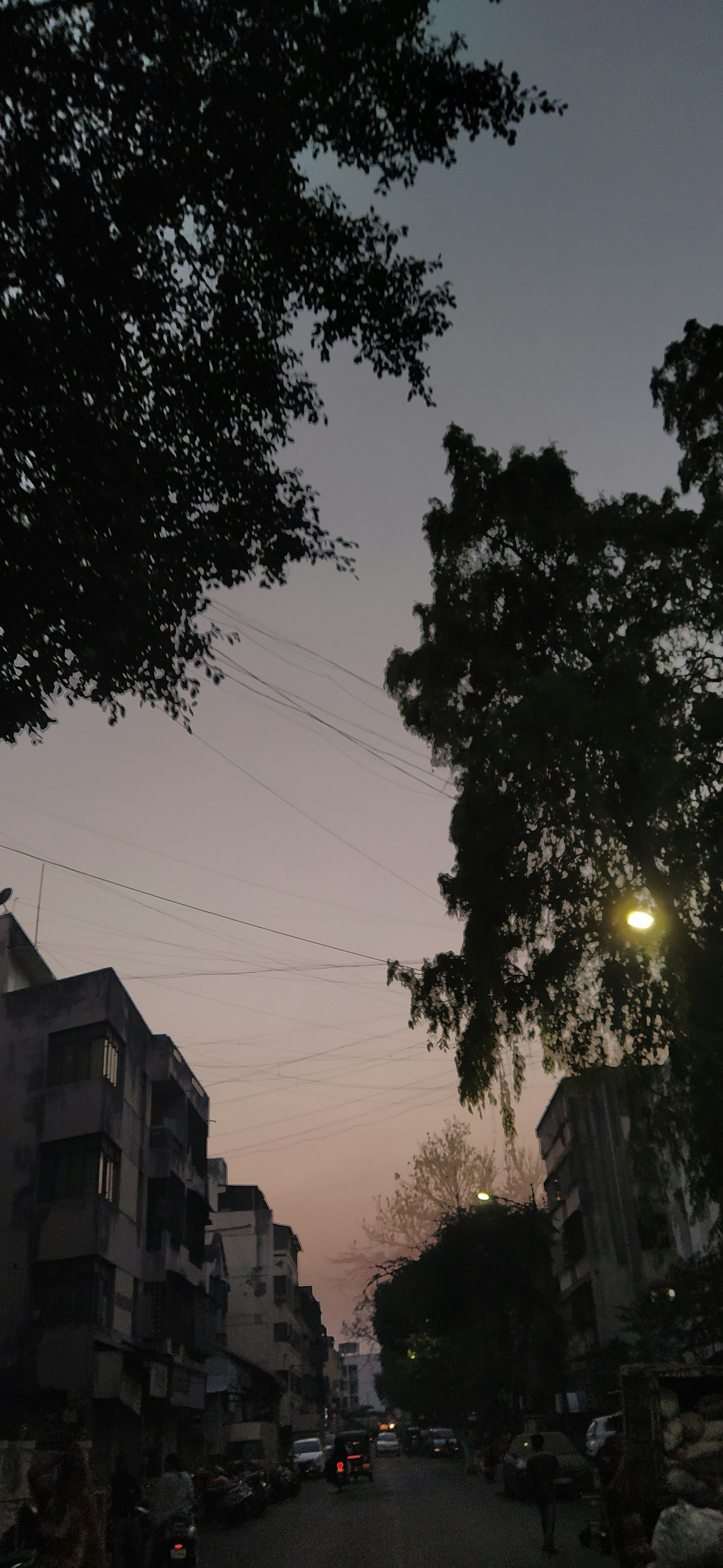 A quiet street scene at twilight, framed by silhouetted trees and illuminated by streetlights, revealing the calm of a city winding down for the evening.