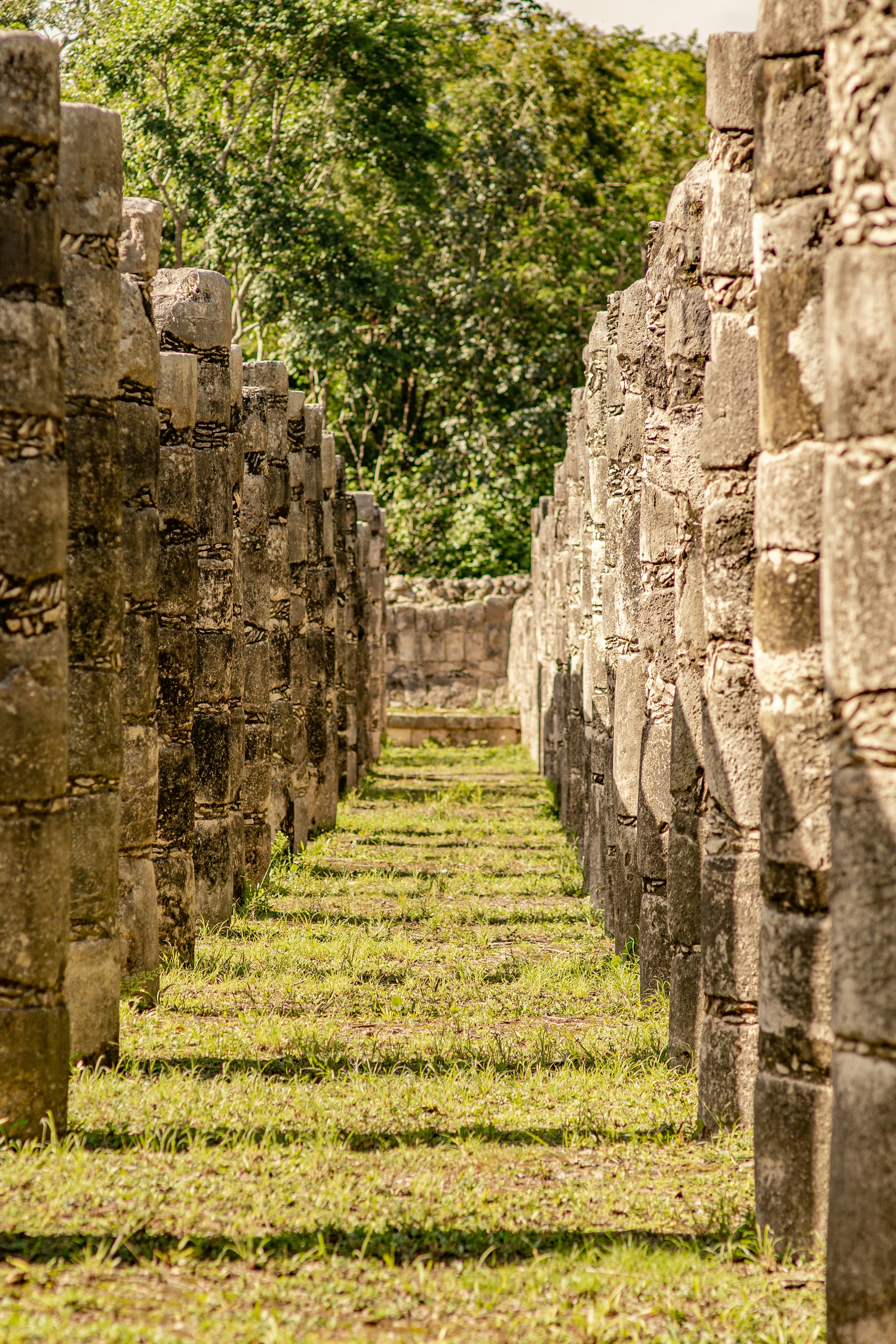 Una hilera de columnas de piedra en una zona cubierta de hierba foto ...