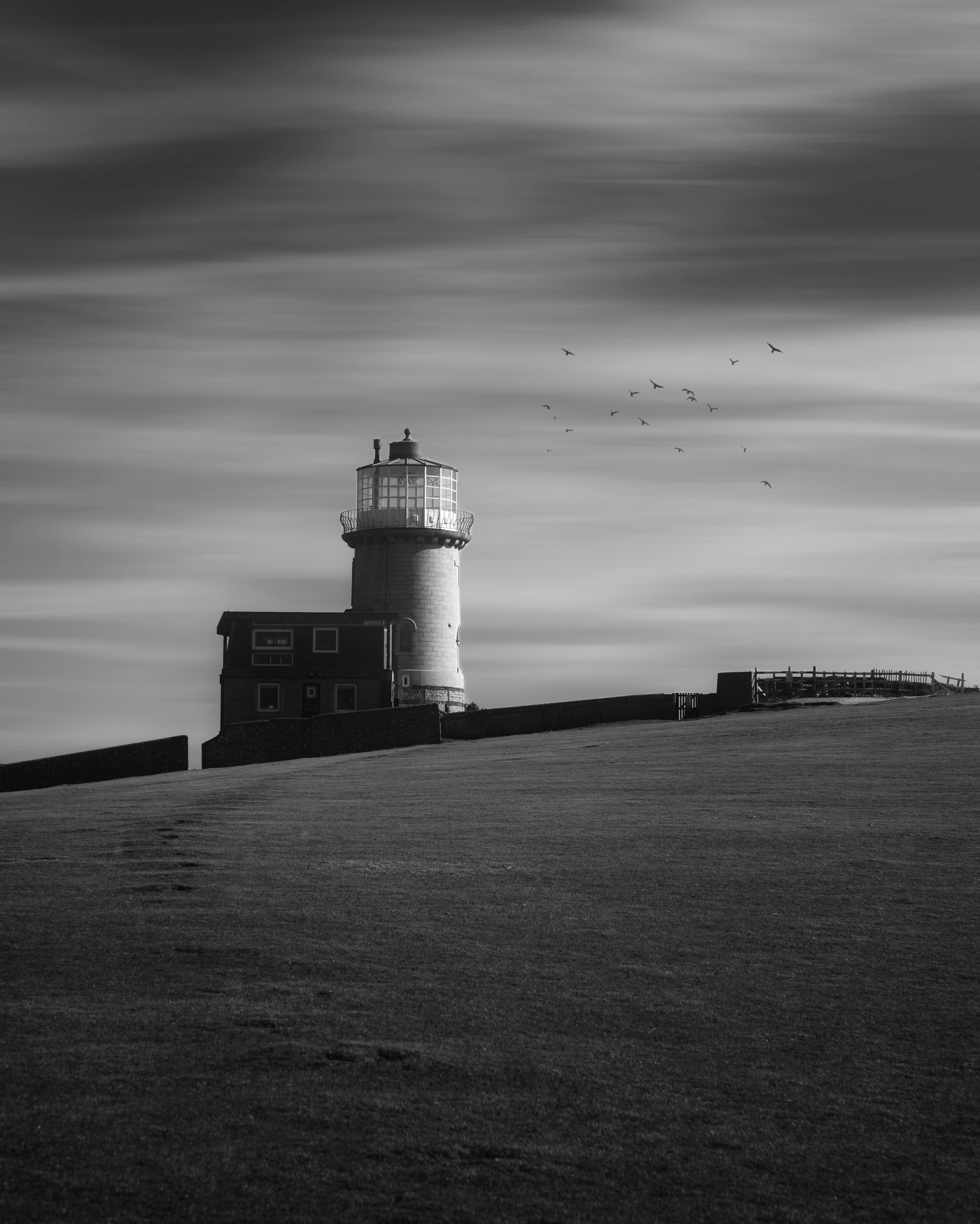 Définition de à tout crin | Dictionnaire français