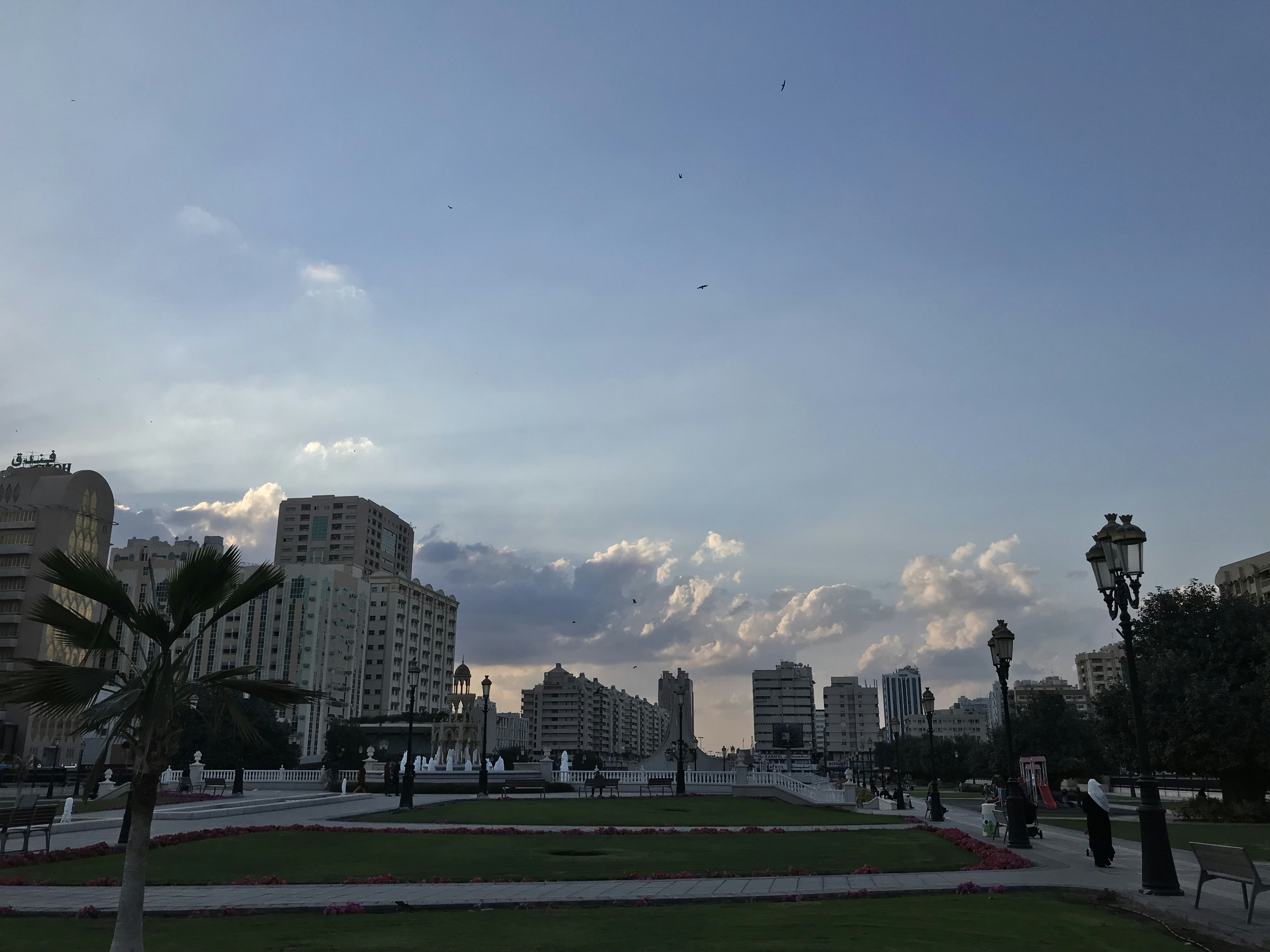 Evening Serenity in Sharjah's Urban Oasis