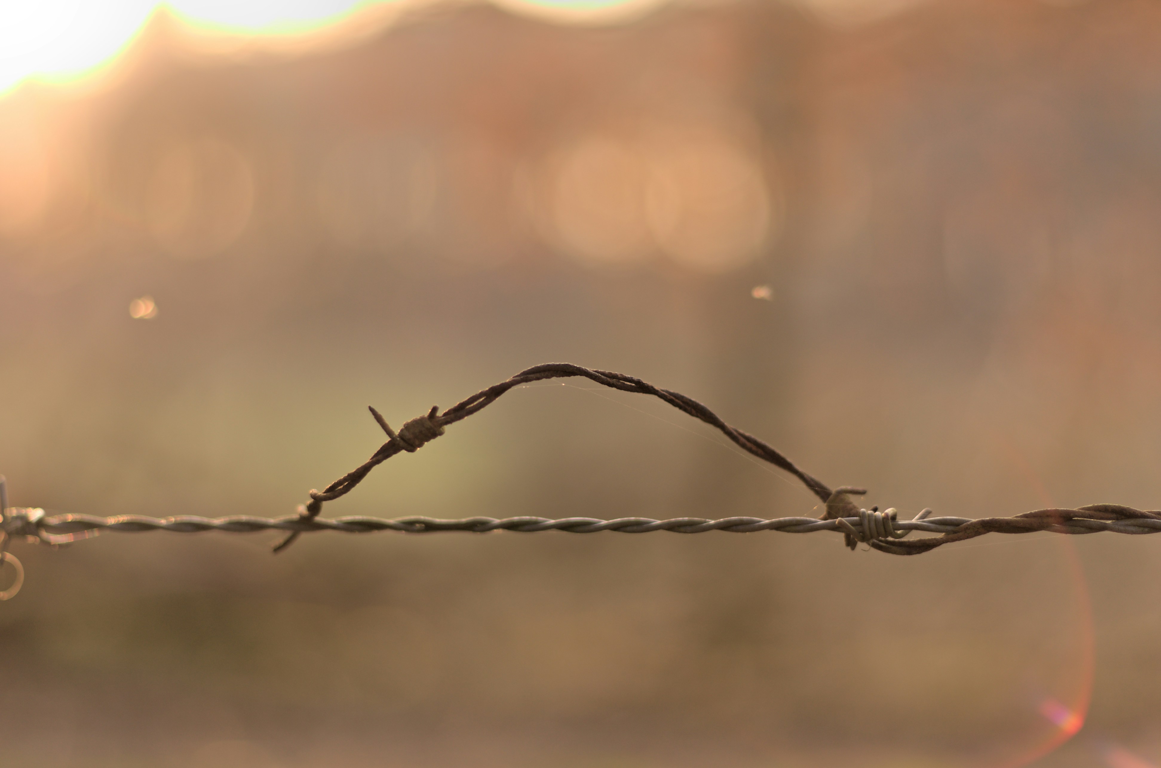 a close up of a barbed wire fence