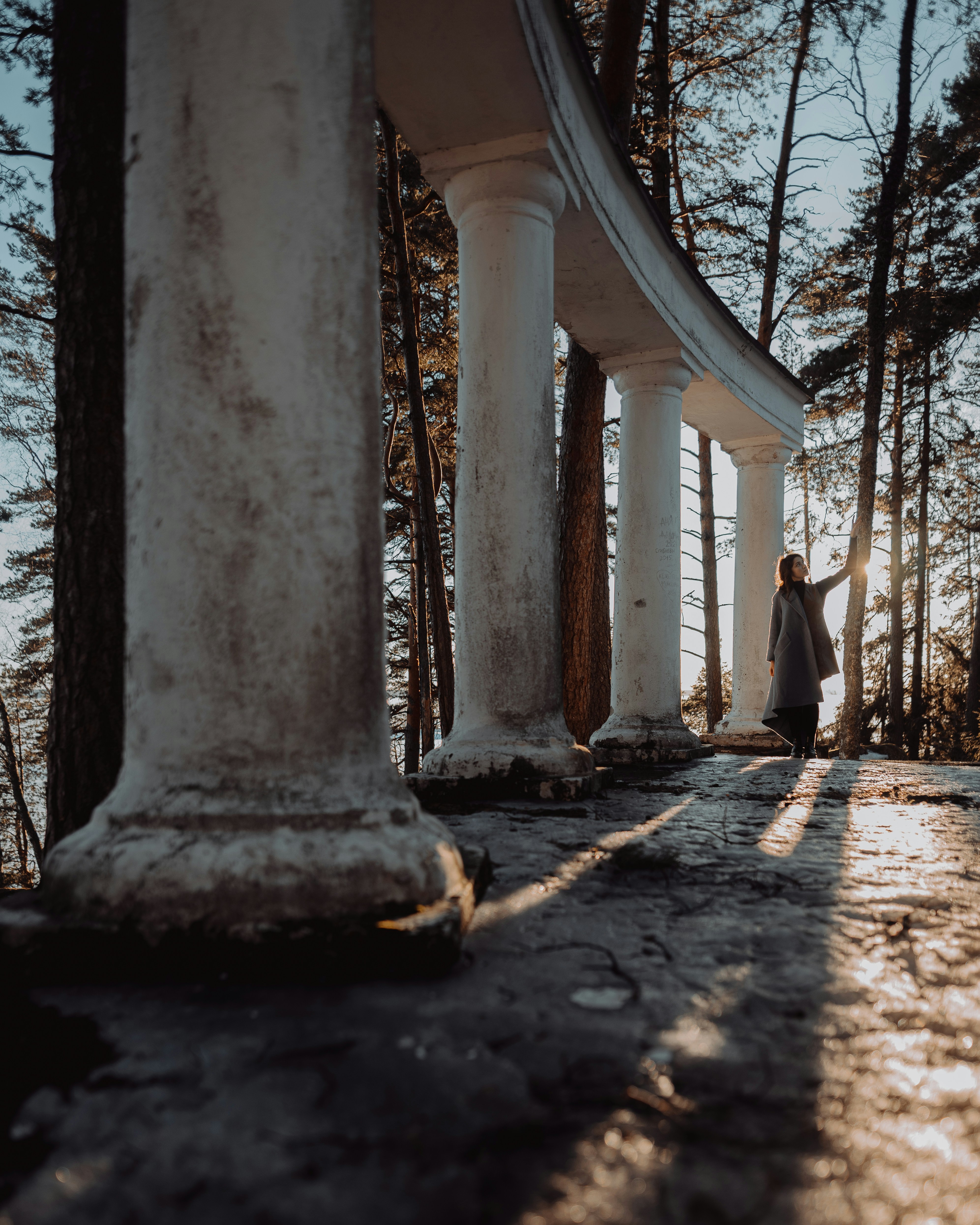 Catching the sunlight