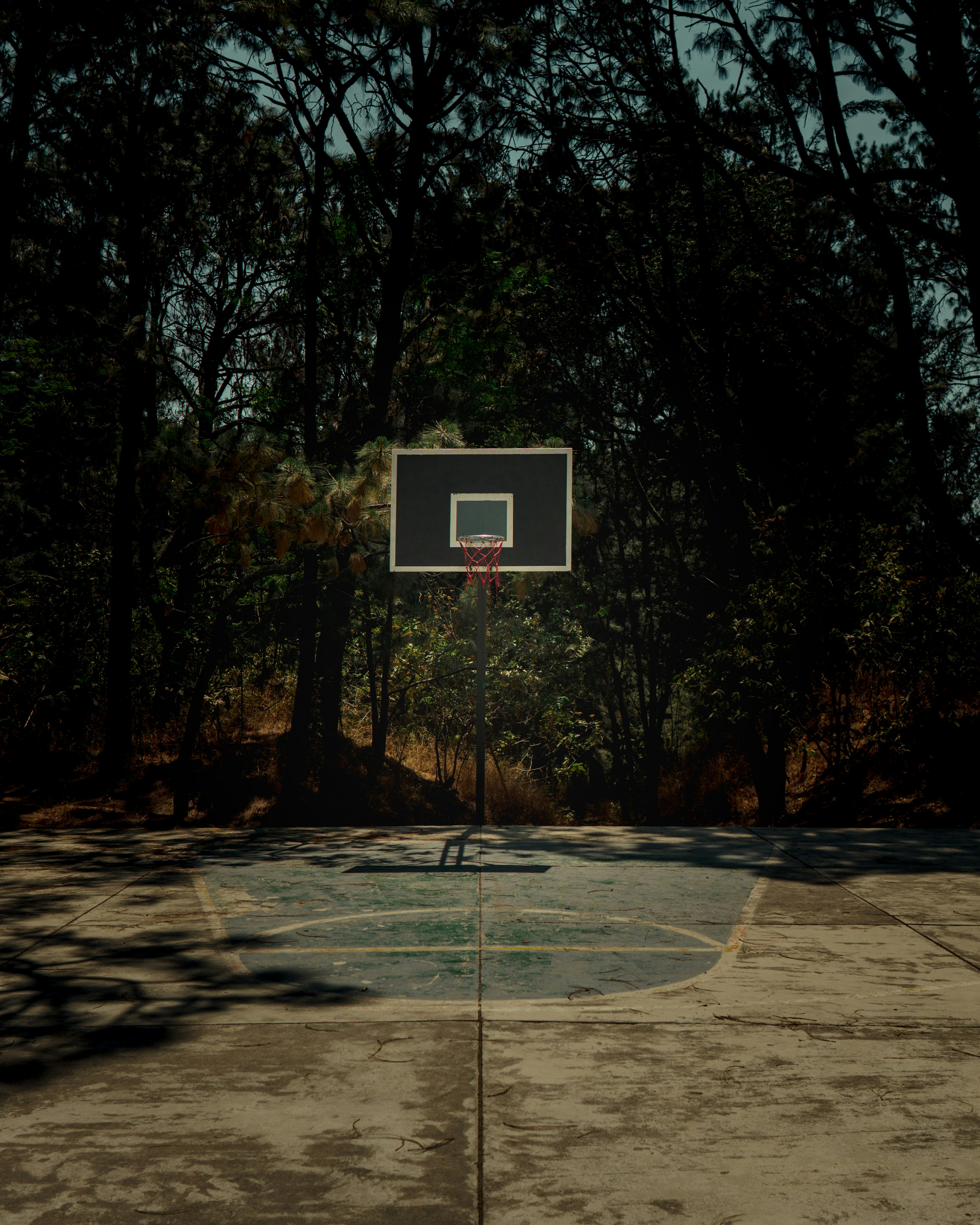 Echoes of Play: The Abandoned Court