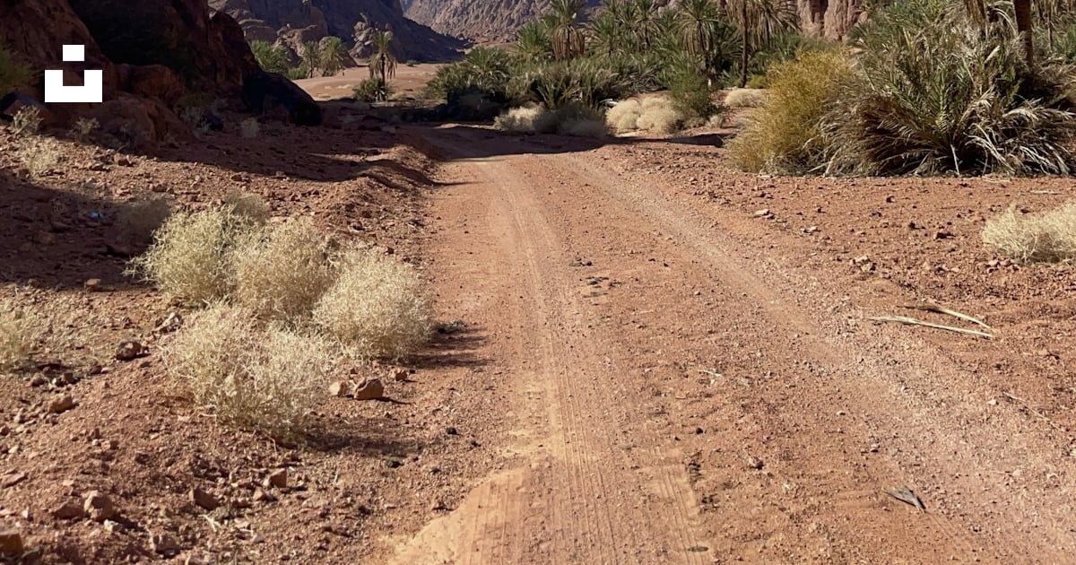 Foto Zum Thema Ein Feldweg Mitten In Der Wüste Kostenloses Bild Zu