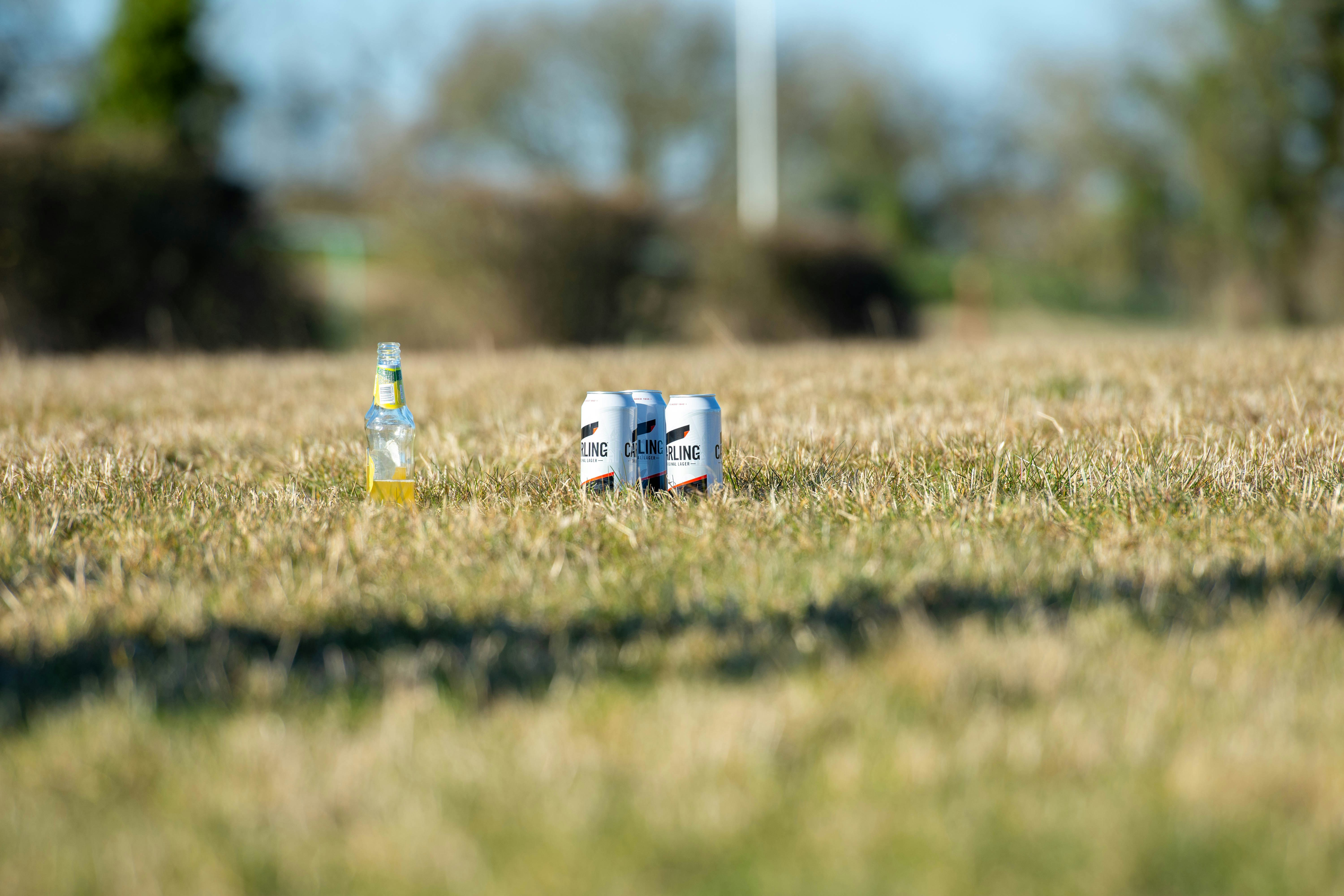 Two beer cans sitting in the middle of a field photo – Free Field Image ...