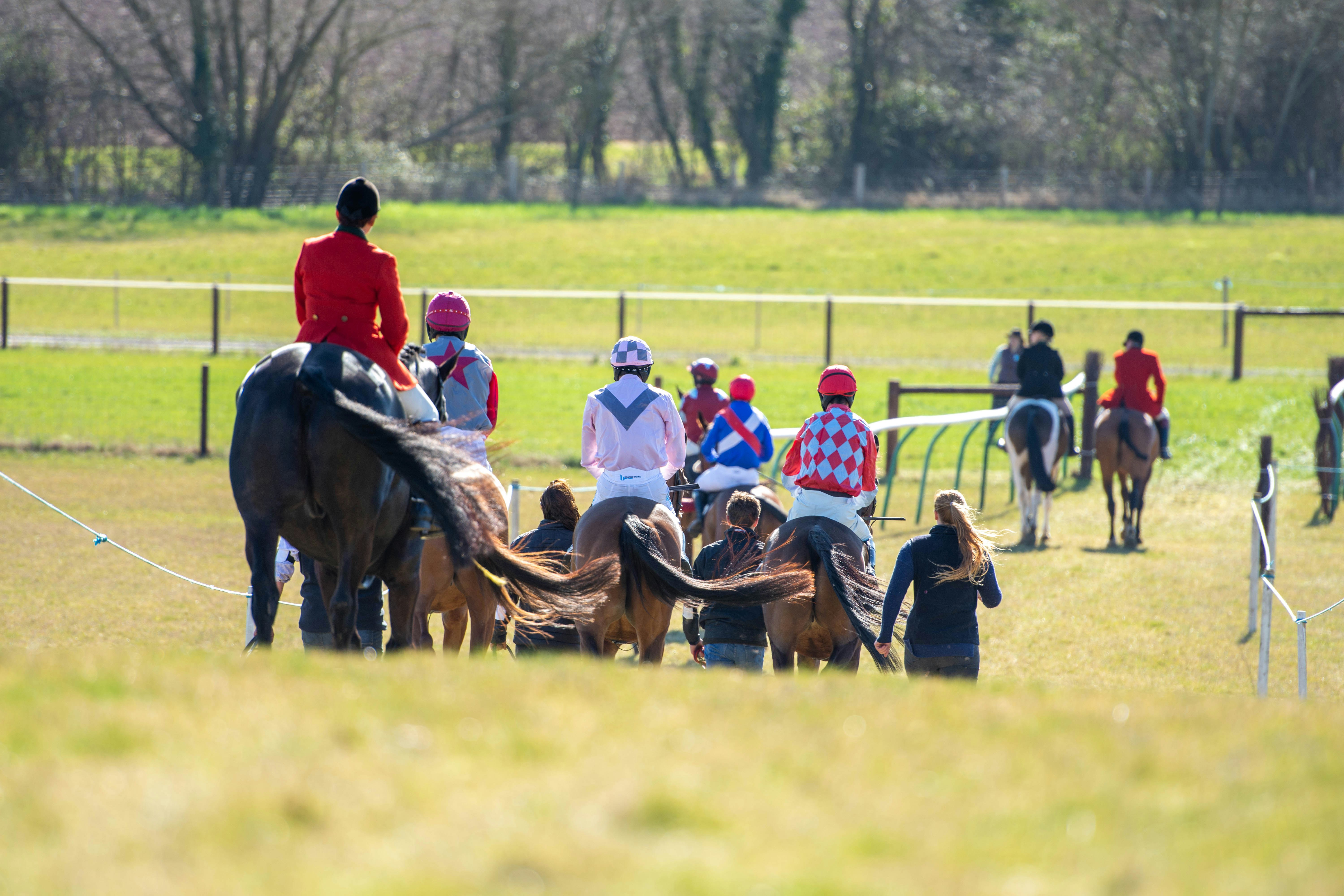 Foto Un grupo de personas montadas a lomos de caballos – Imagen Humano ...