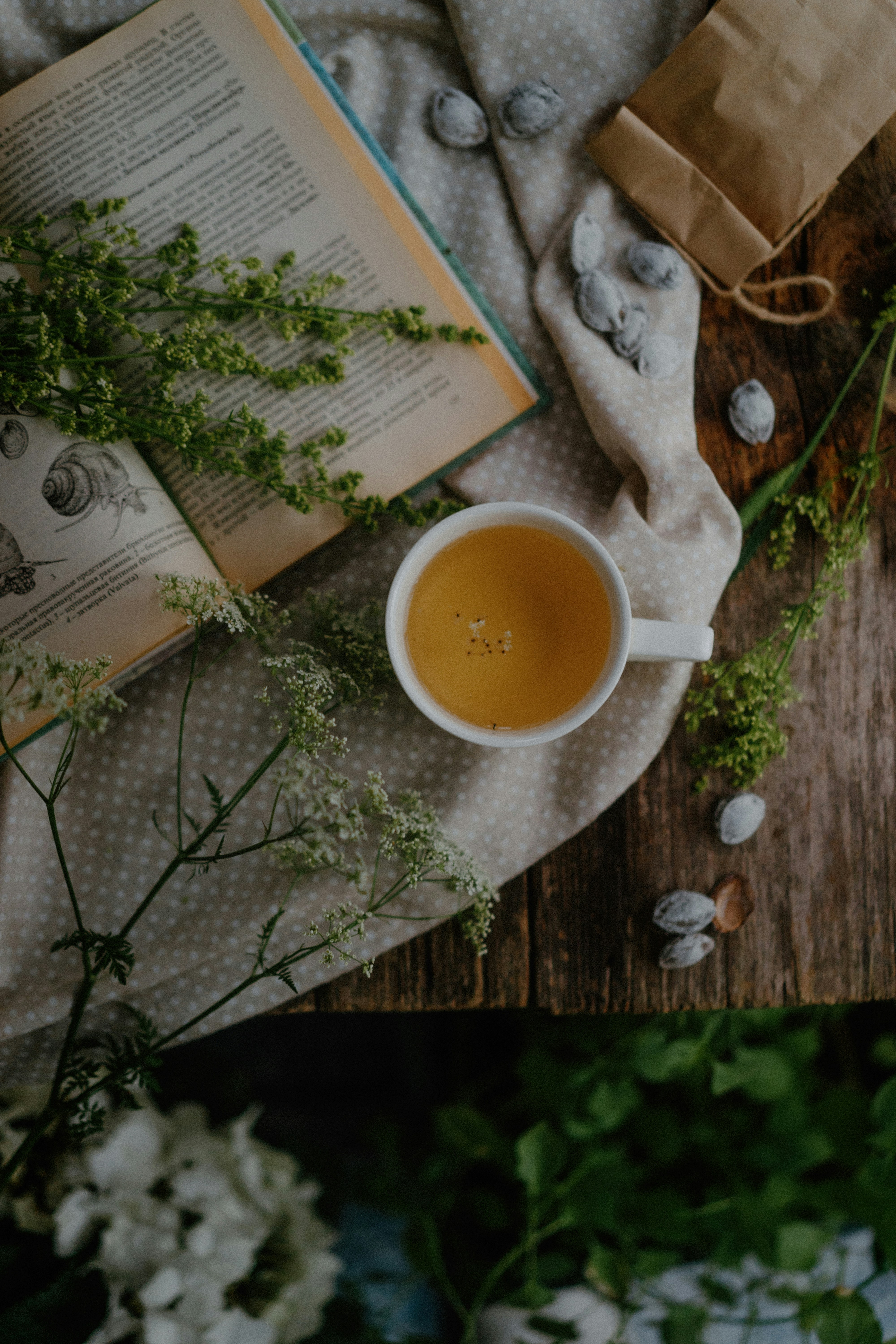 A stack of flyers on a table photo – Free Tea Image on Unsplash